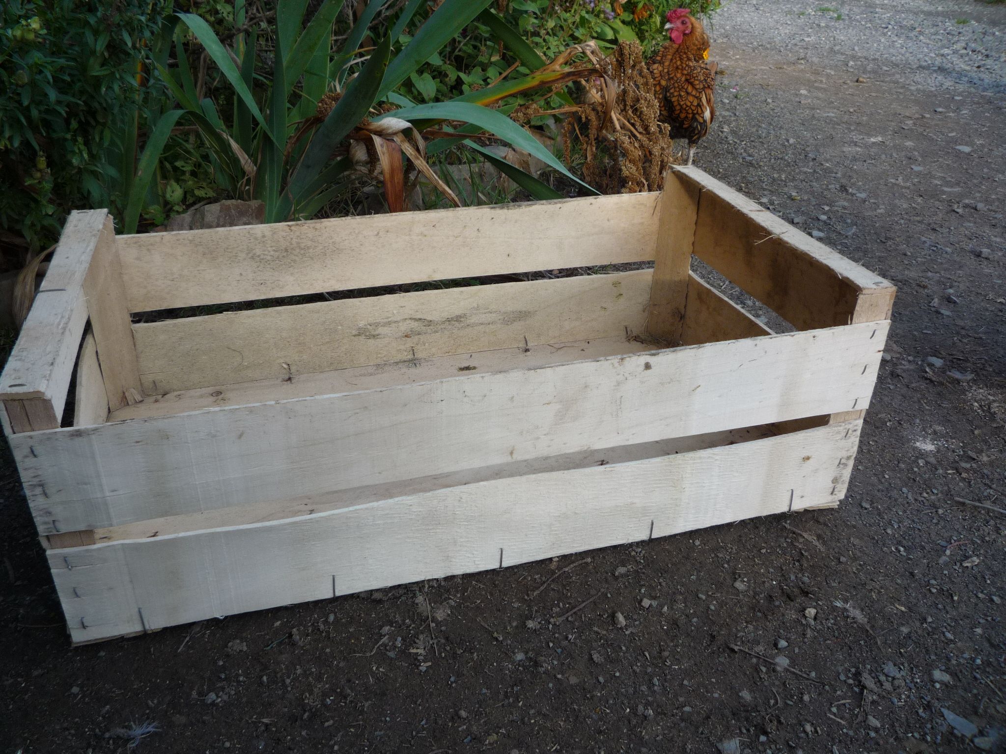 Home-made Scrap Wood Greetings Cards, Ornaments and Table Decorations ...