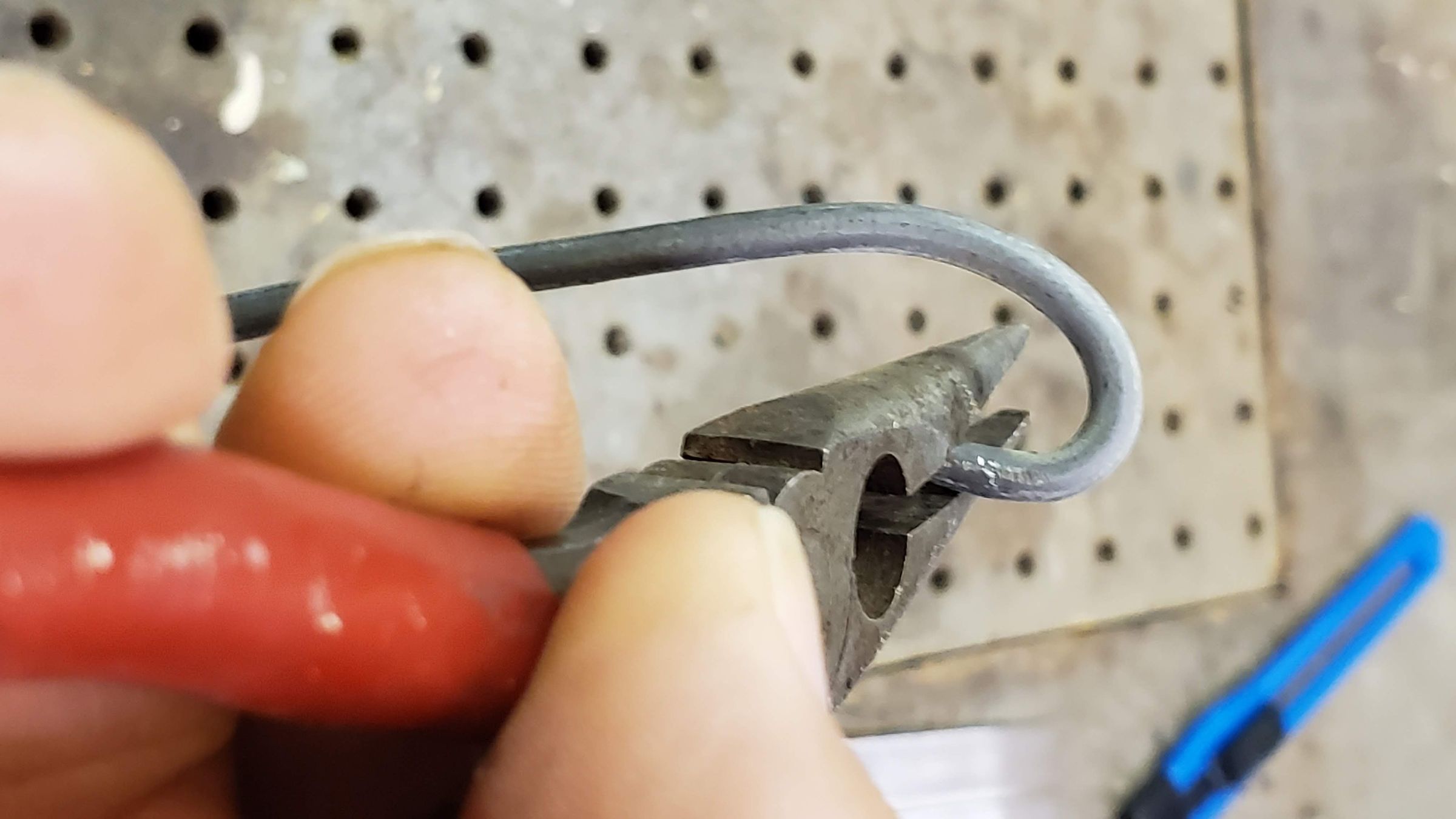Chicken Catcher Tool