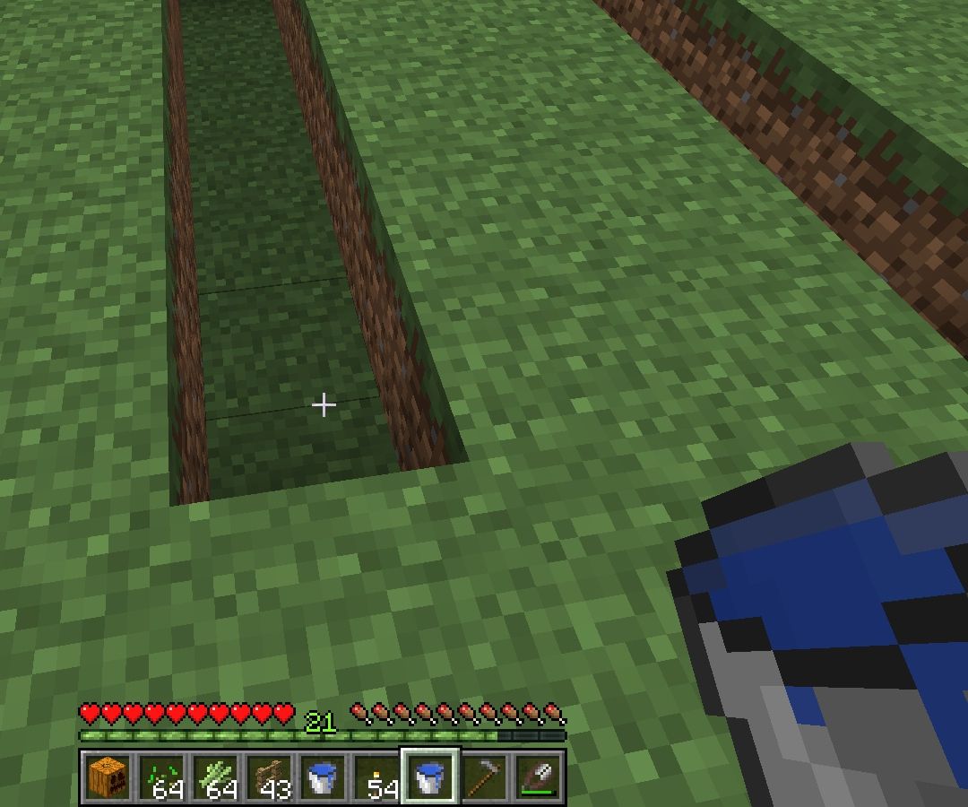 Farming in Minecraft : 10 Steps (with Pictures) - Instructables