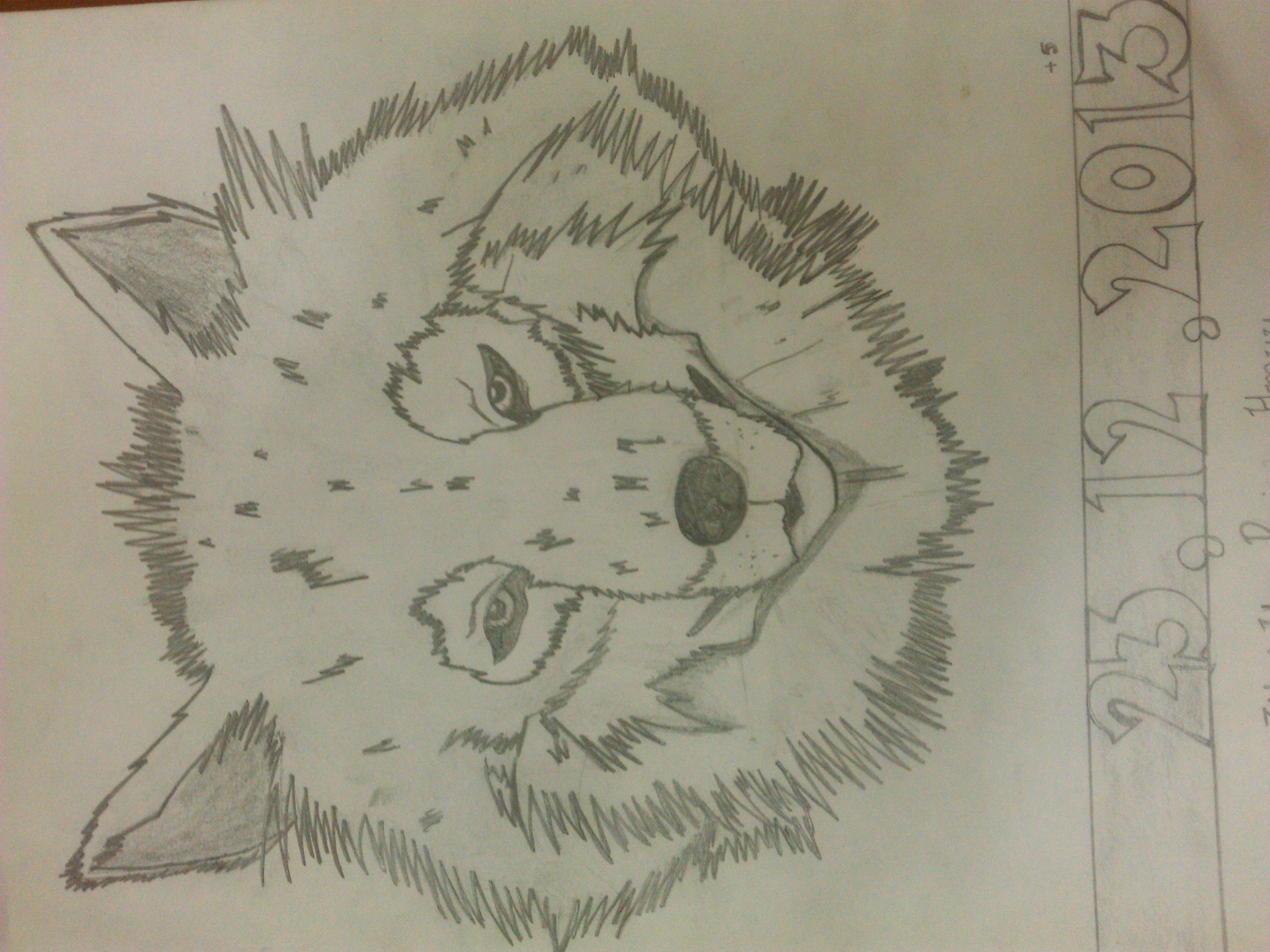 My Wolf Sketch - Instructables