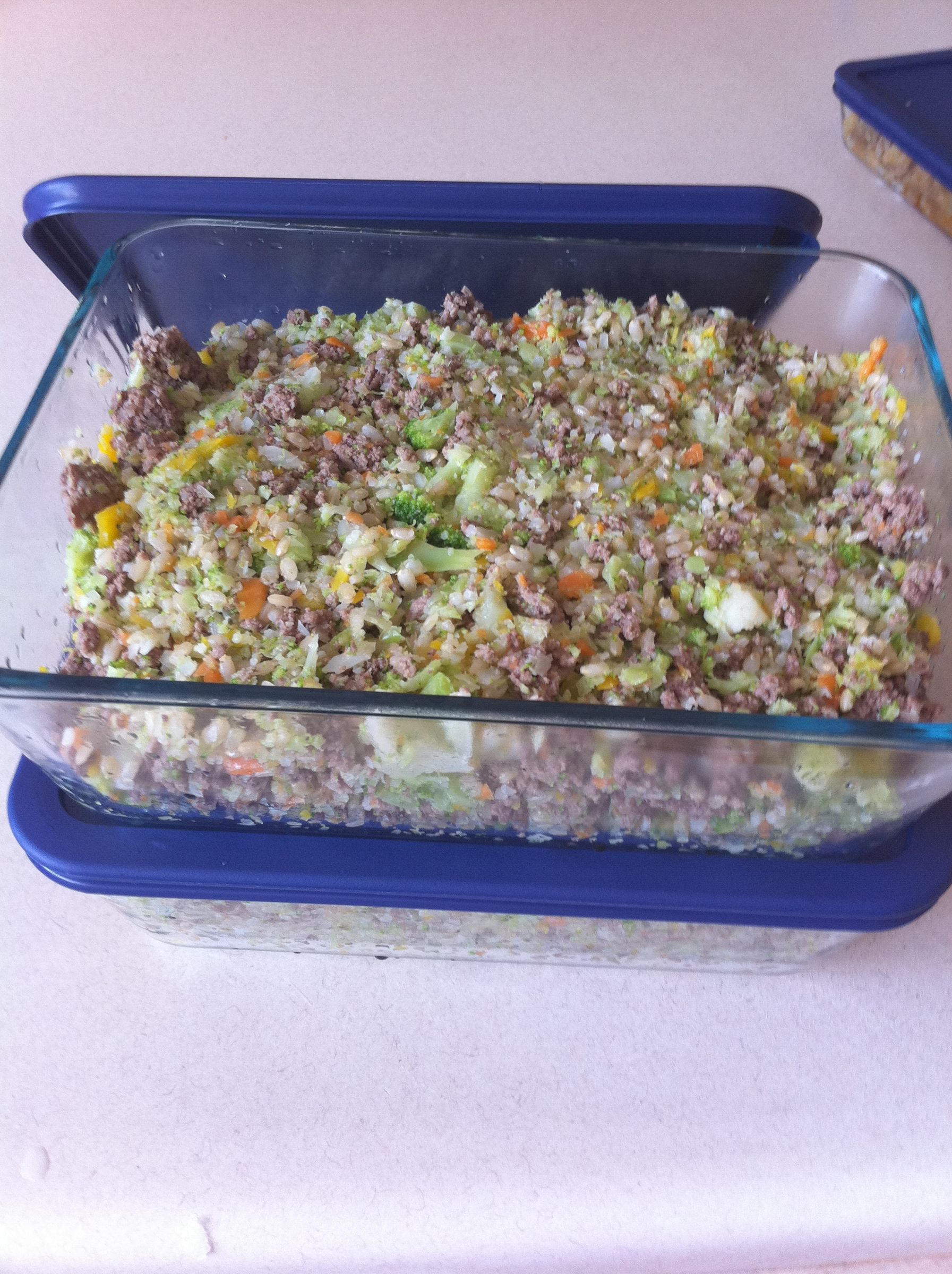 How to Make Healthy Dog Food : 6 Steps - Instructables