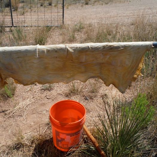 Making Buckskin : 9 Steps (with Pictures) - Instructables