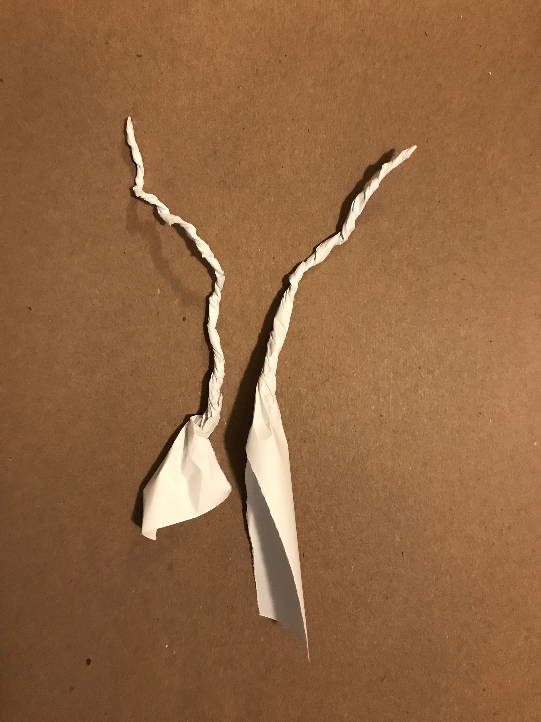 Paper Tree and Butterflies : 5 Steps - Instructables