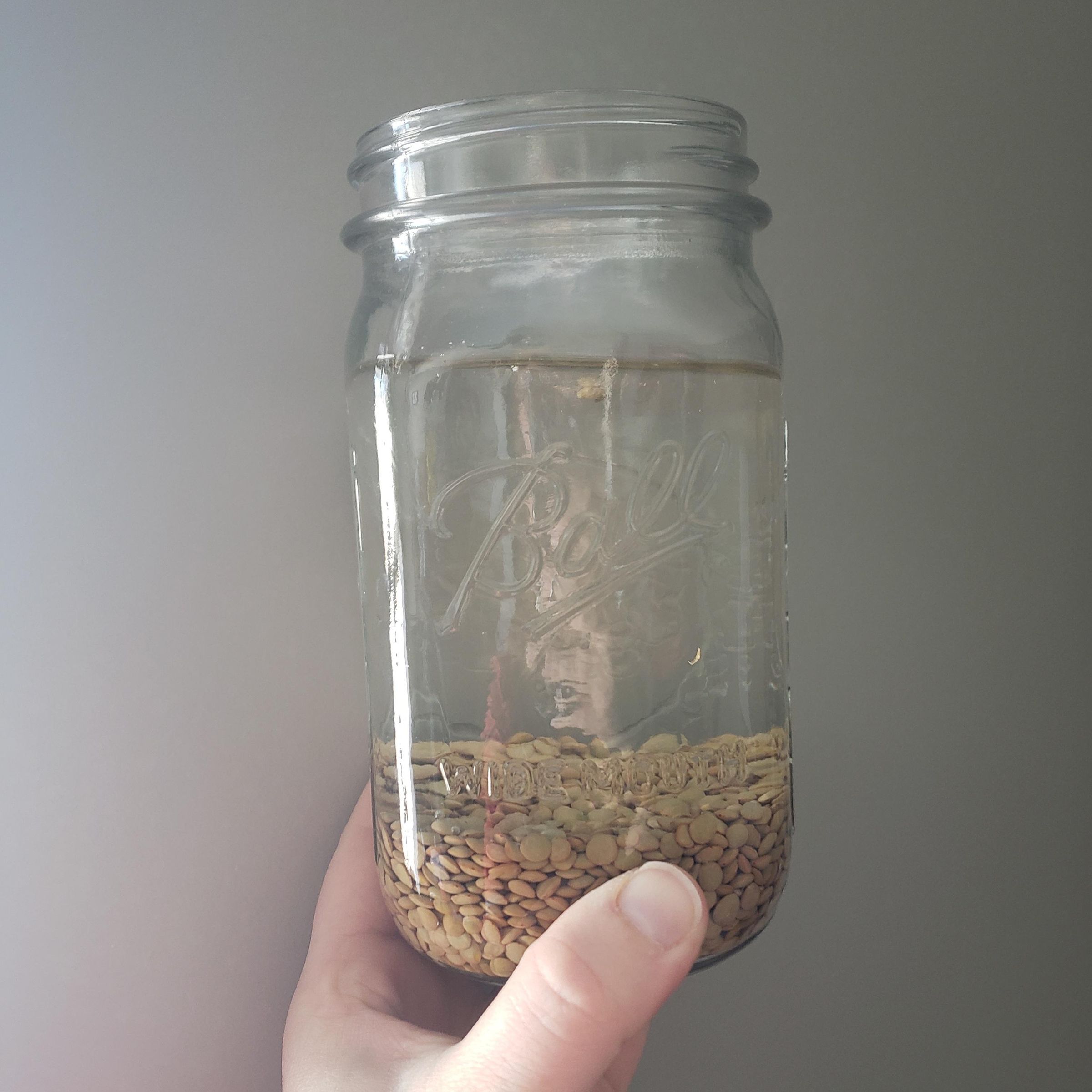 Lentil Treat : 3 Steps (with Pictures) - Instructables