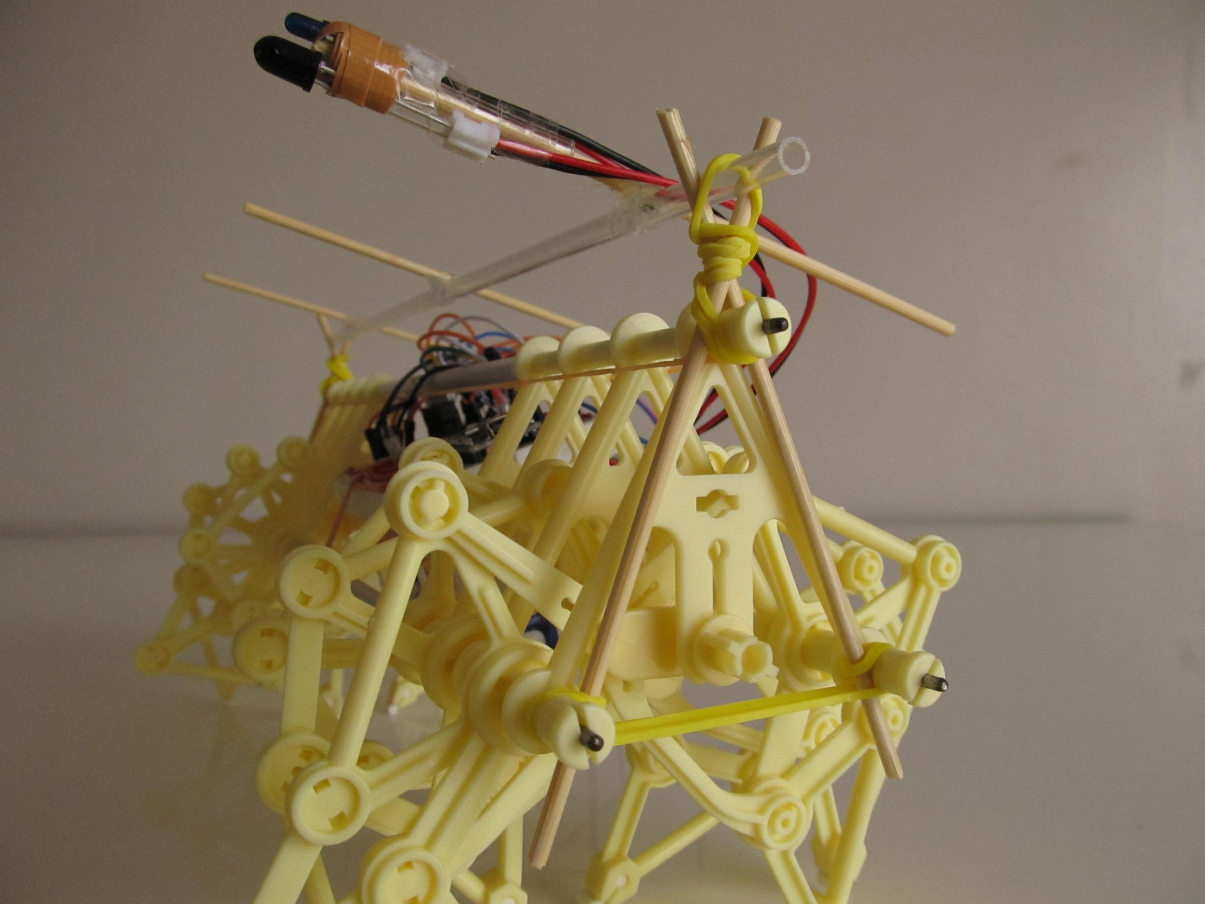 Training Theo Jansen's Mini STRANDBEEST : 11 Steps (with Pictures ...