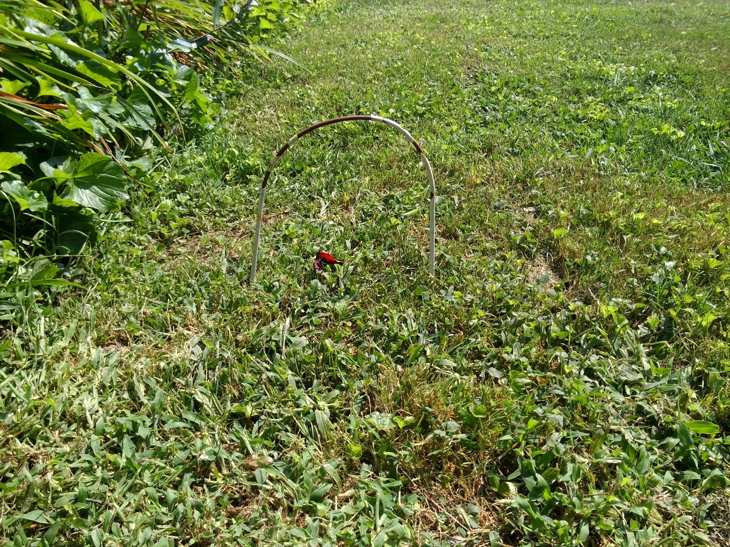 To Play Croquet : 4 Steps (with Pictures) - Instructables