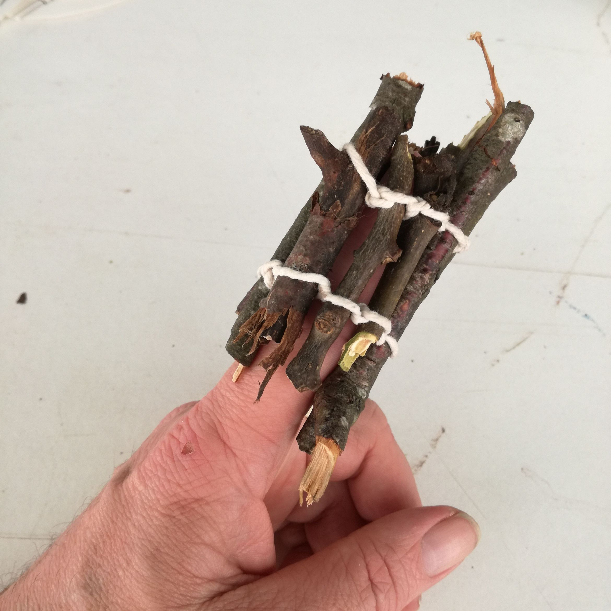 Rustic Woggle : 7 Steps (with Pictures) - Instructables