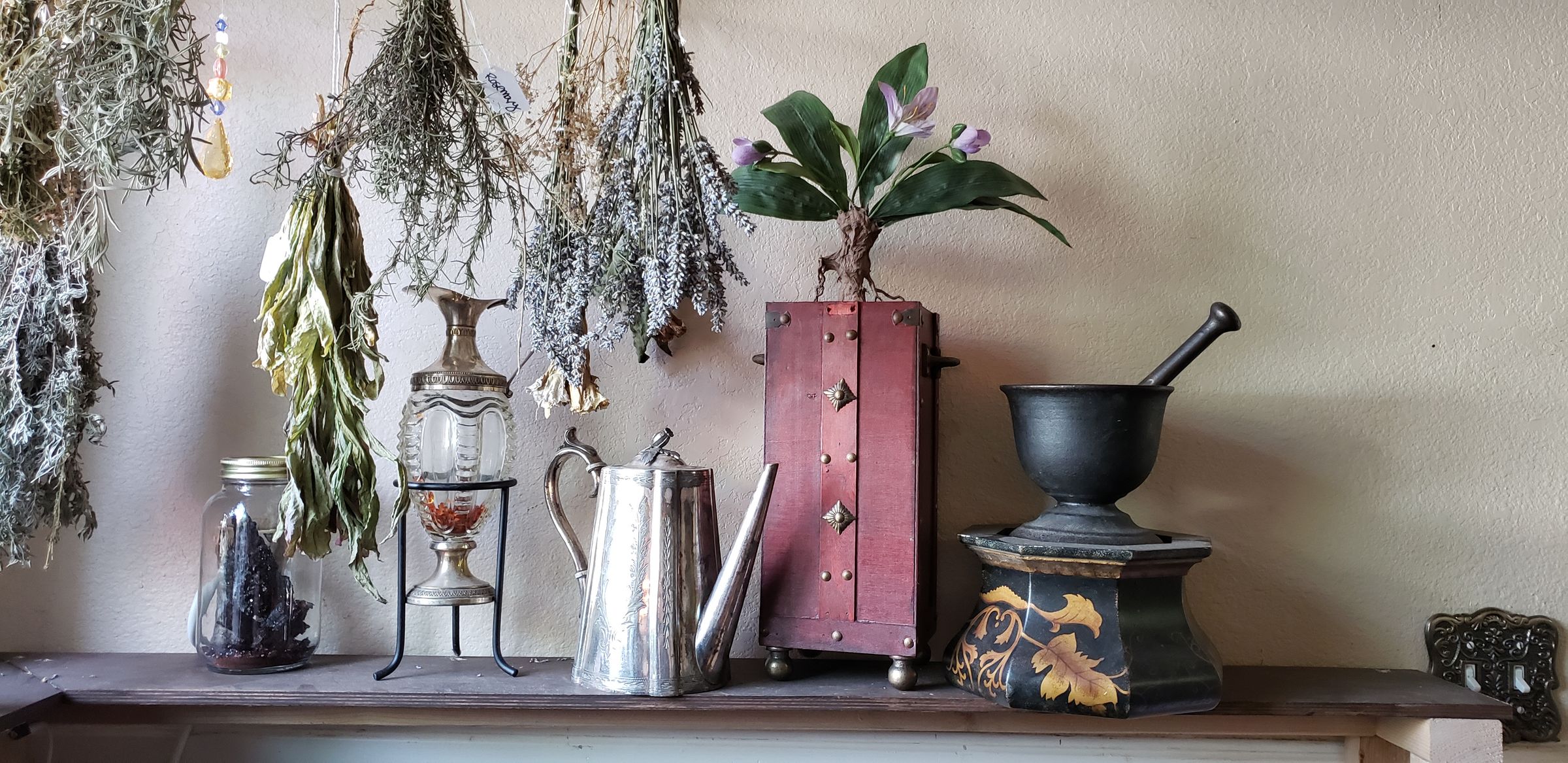 Mandrake Planter : 5 Steps (with Pictures) - Instructables