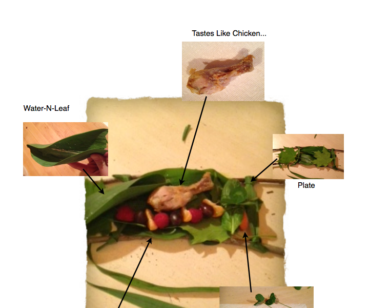 Paleo Meal : 12 Steps - Instructables