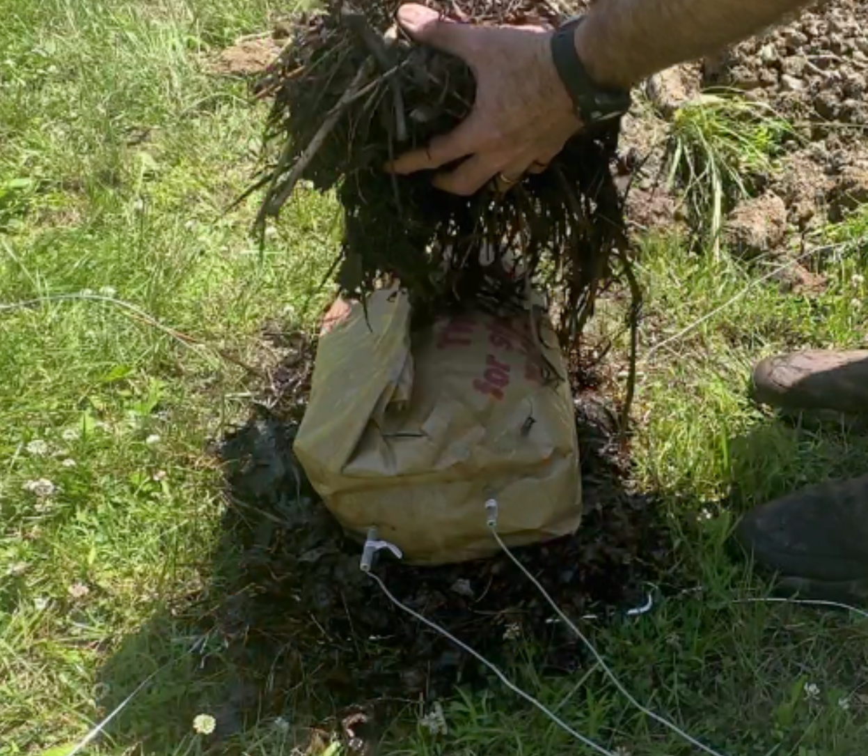 Paper Bag Pig in the Ground : 10 Steps (with Pictures) - Instructables