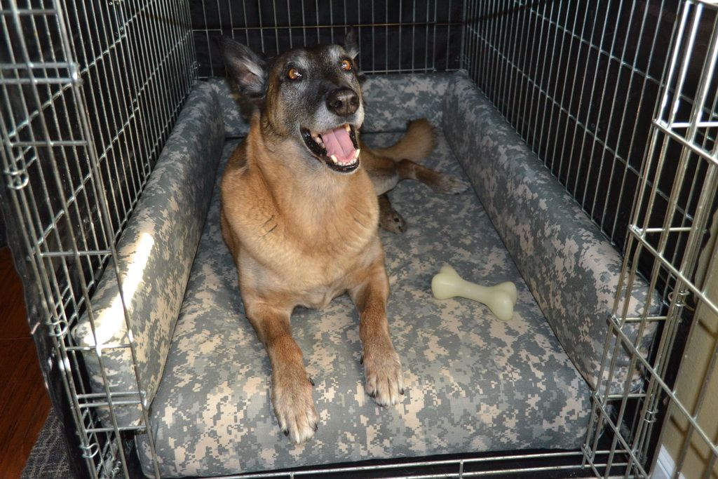 Super Comfy Dog Kennel Bed : 5 Steps (with Pictures) - Instructables