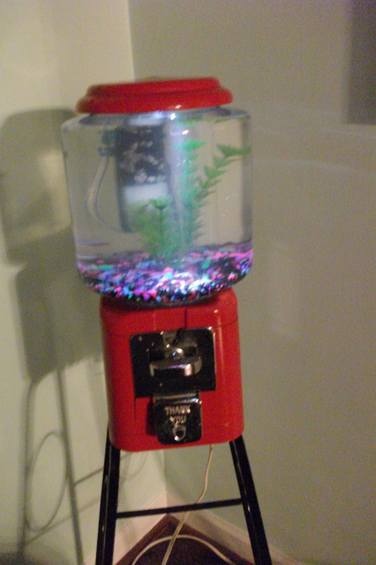 Gumball Machine Fish Tank : 9 Steps (with Pictures) - Instructables