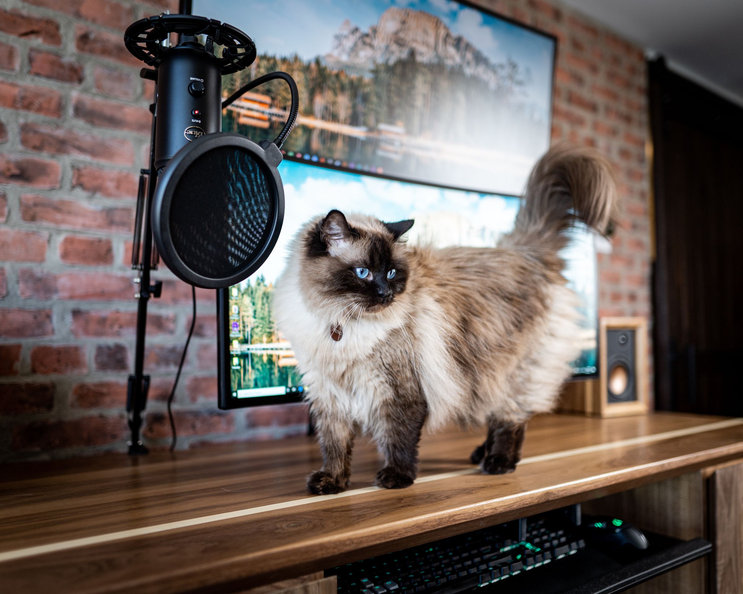 Building My Dream Desk With an Integrated Computer : 28 Steps (with ...