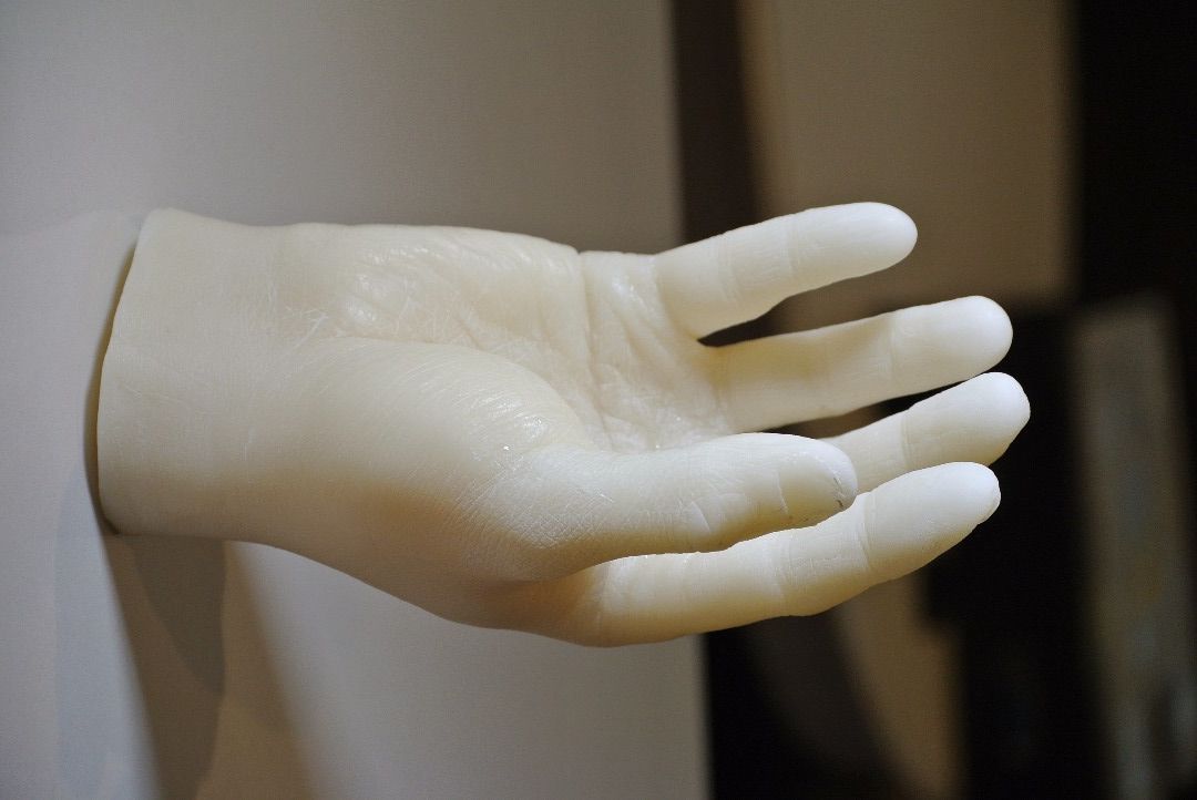 How to Lifecast a Hand With Alginate : 7 Steps (with Pictures ...