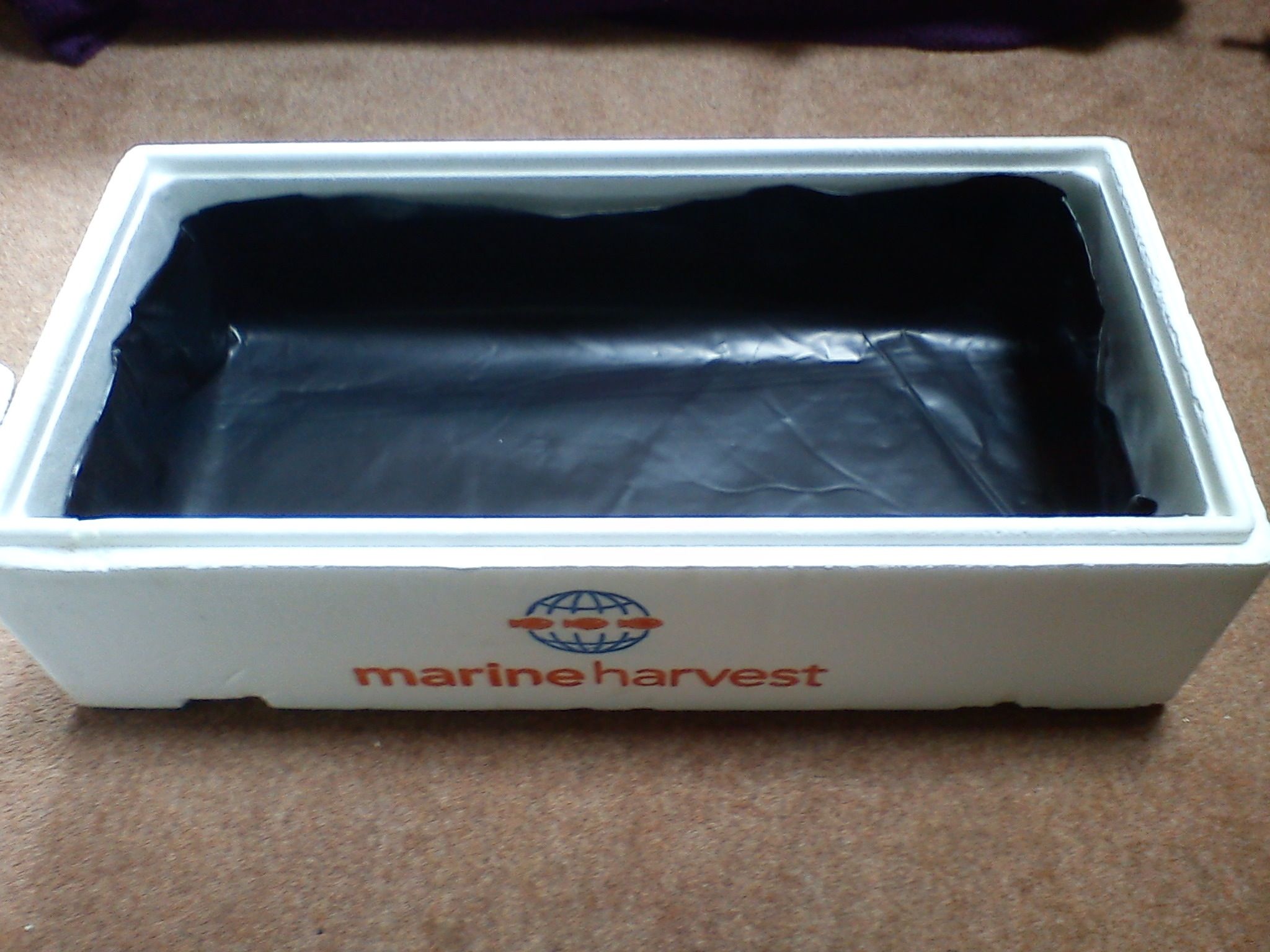 Recycled Fish Box Cooler / Cool Box : 3 Steps (with Pictures ...