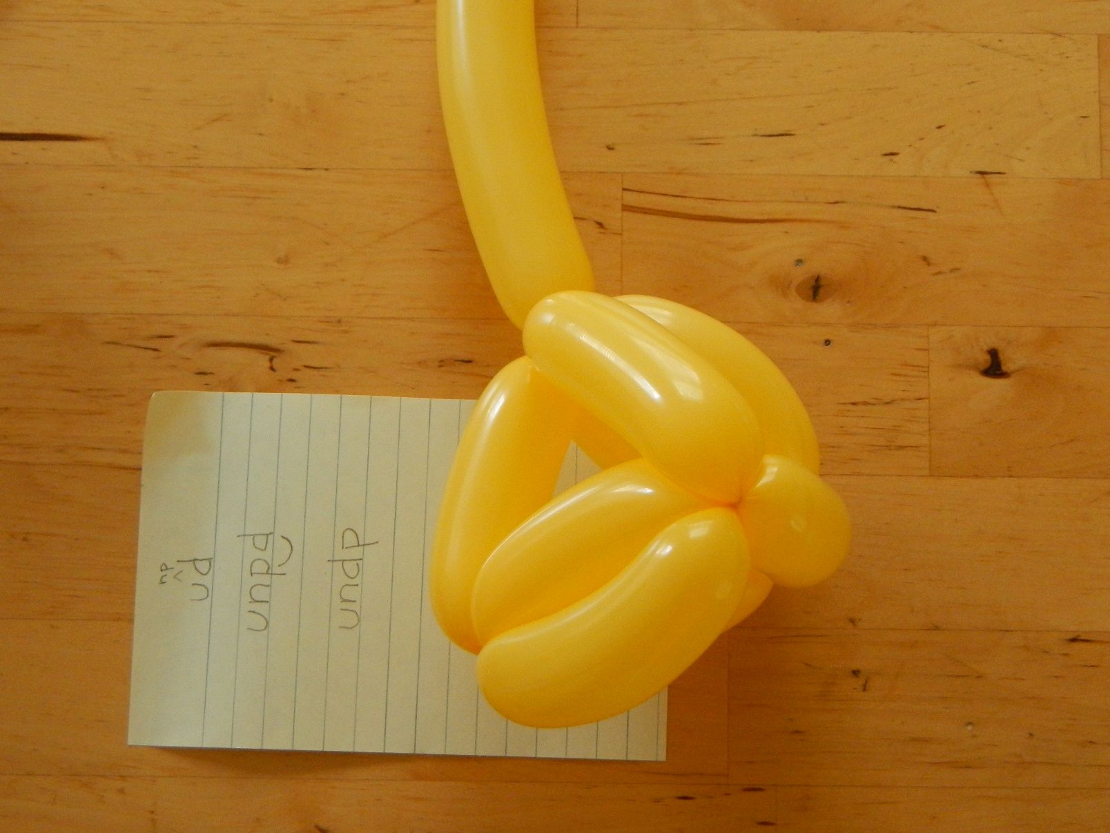 How to Evolve a Balloon Animal : 5 Steps (with Pictures) - Instructables