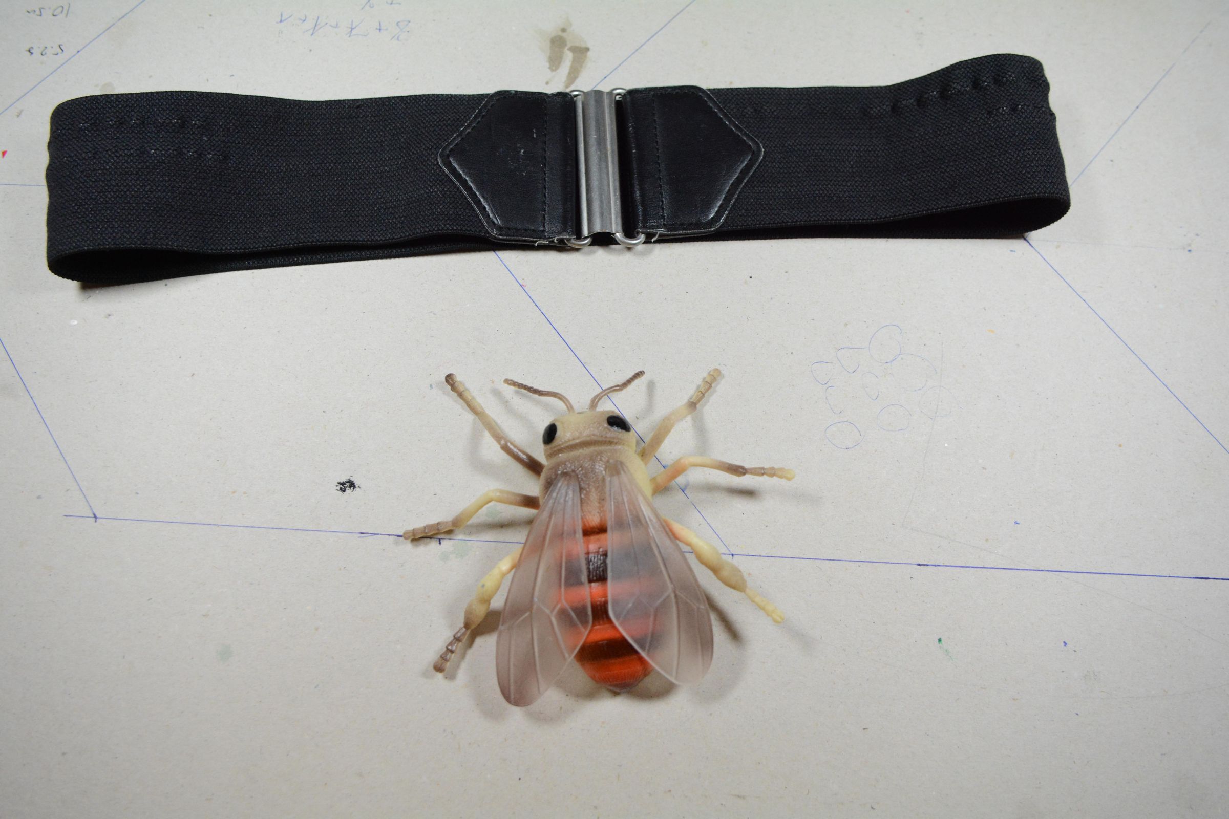 Cicada Shell Cosplay