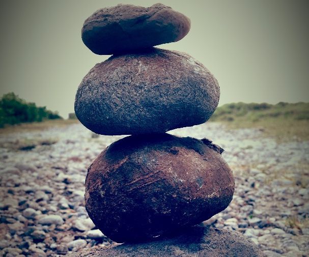 Nature : 3 Steps - Instructables