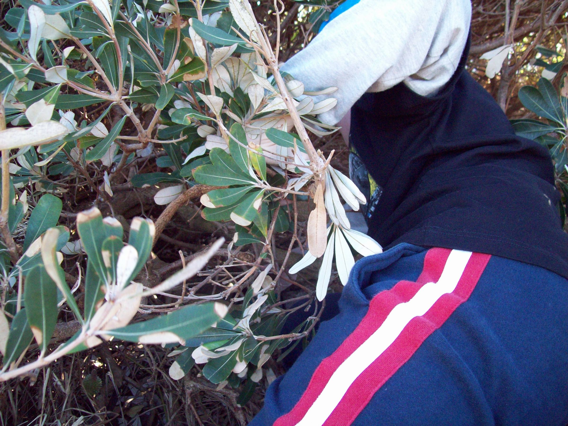 How to Make a Geocache : 8 Steps (with Pictures) - Instructables