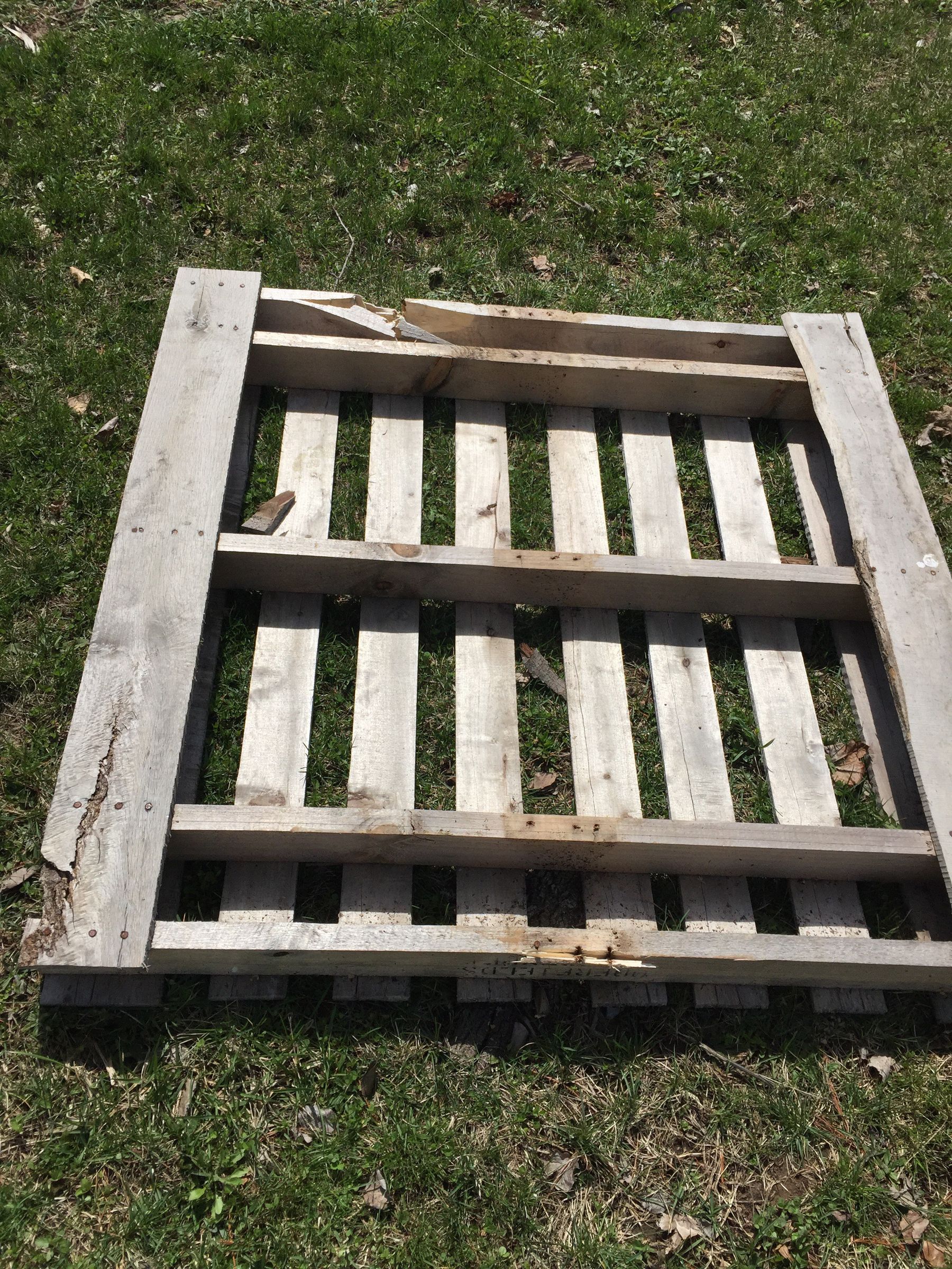 Wooden Animal Trap : 12 Steps - Instructables