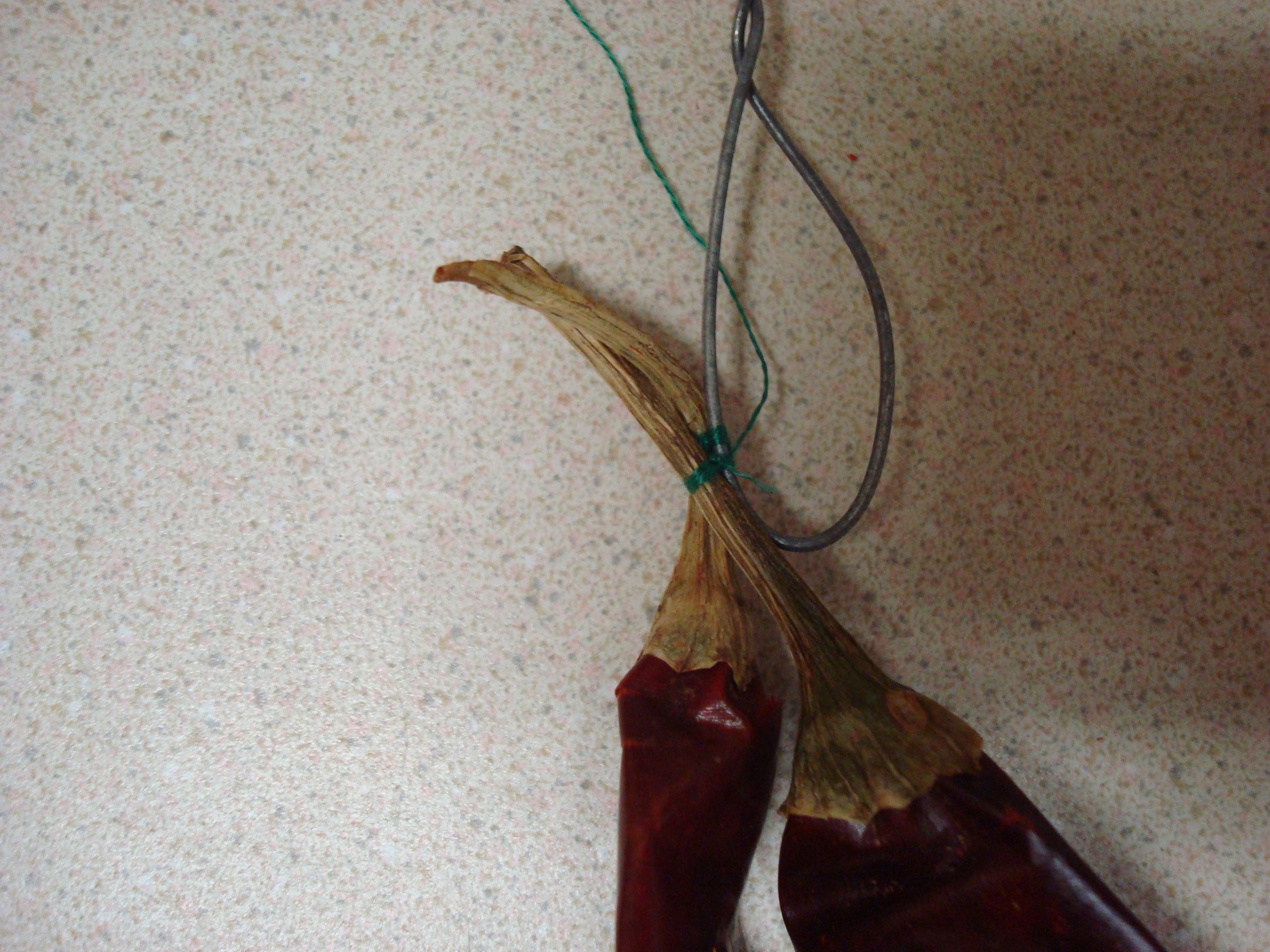 Chili Ristra Monster : 7 Steps - Instructables