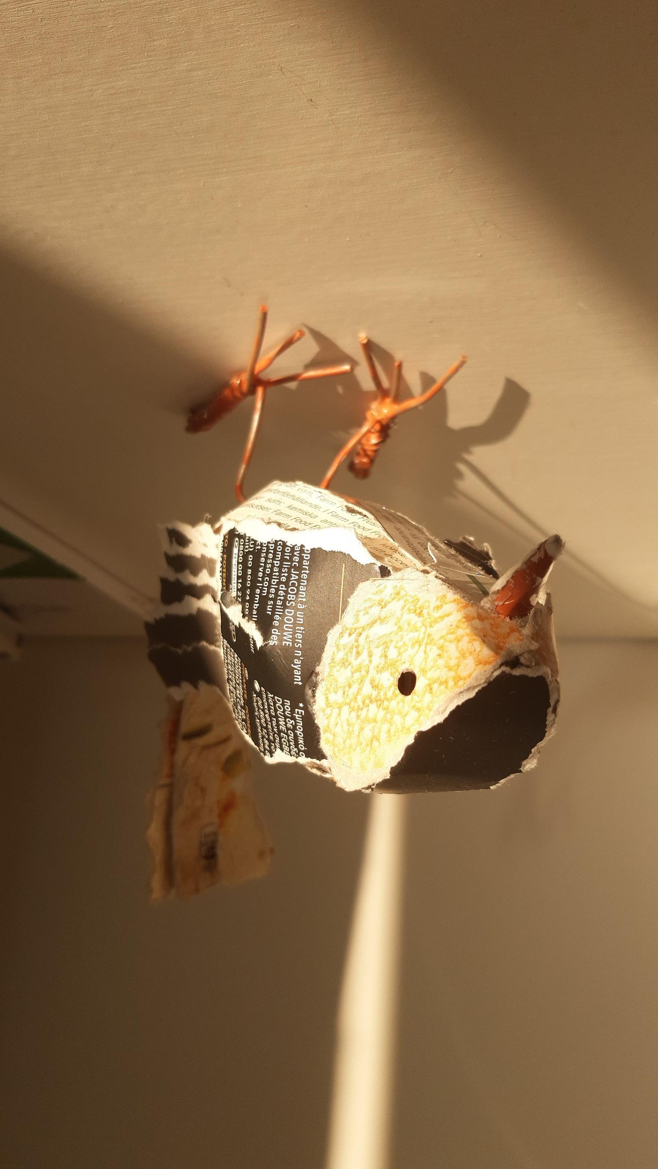 Cardboard Box Birds : 11 Steps (with Pictures) - Instructables