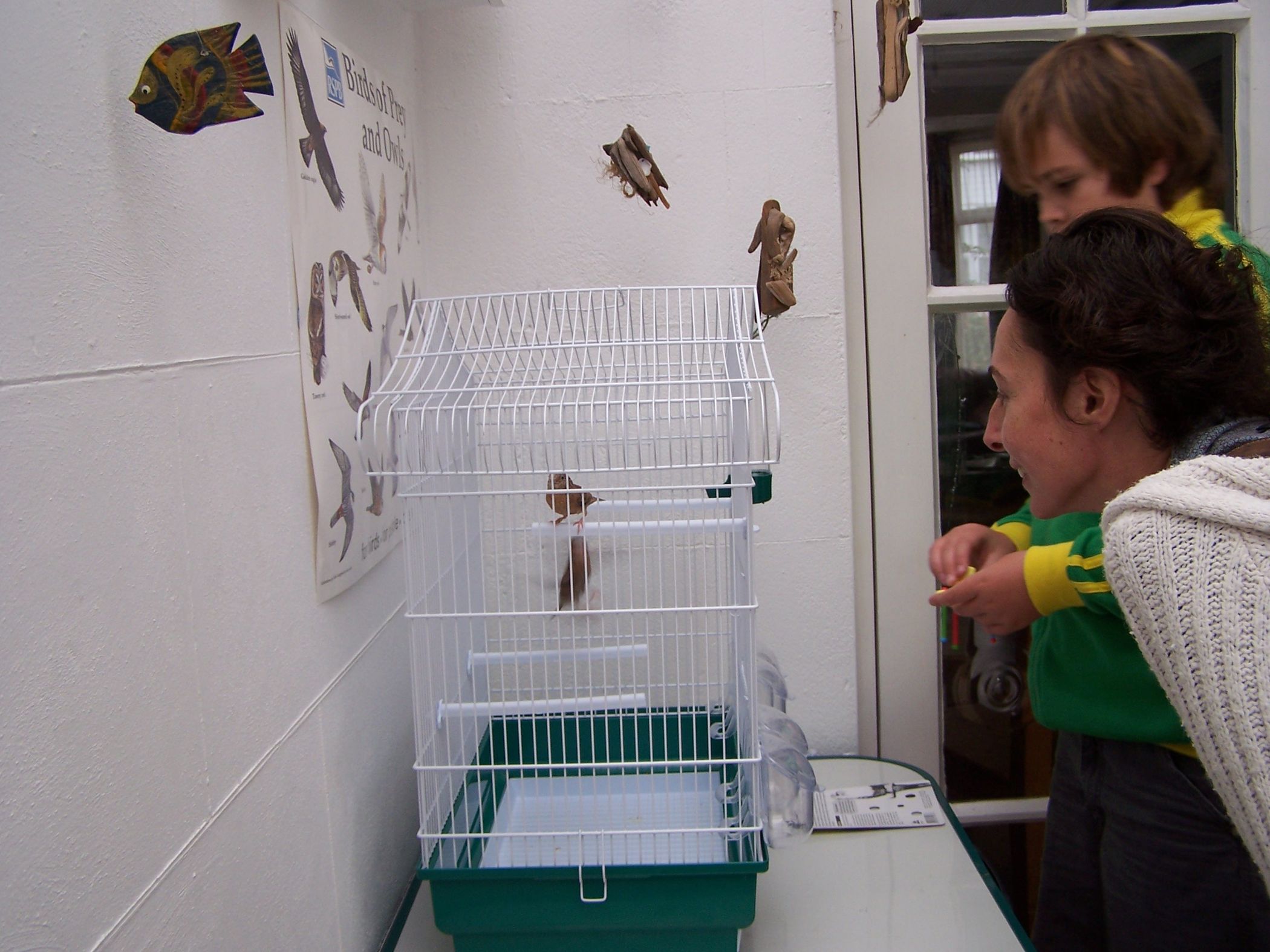 AVIARY ROOST : 7 Steps - Instructables