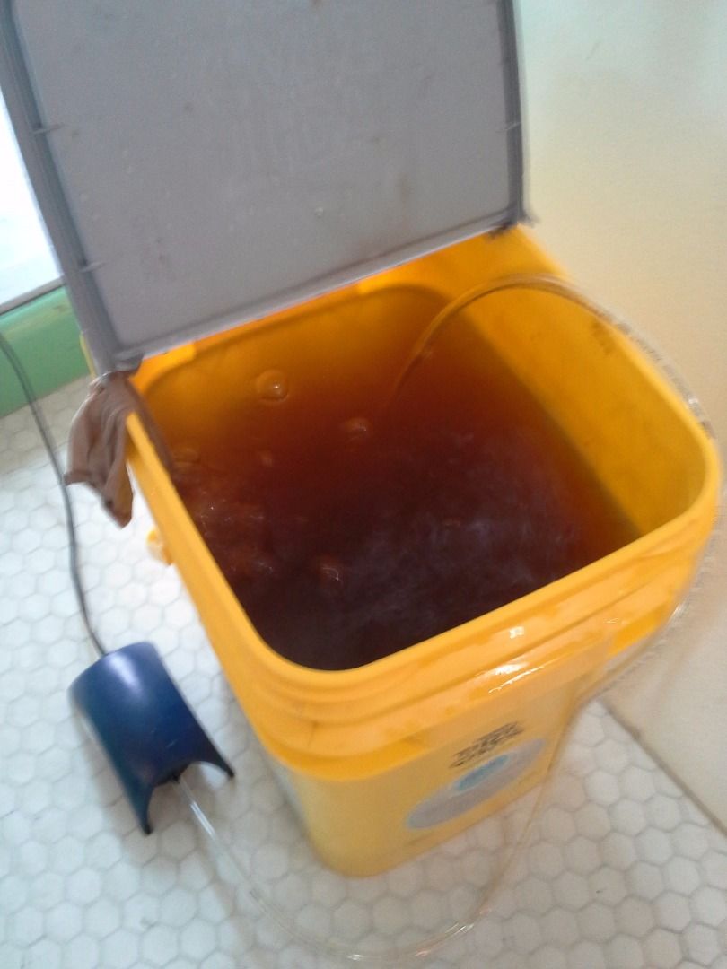 Compost Tea for Hydroponics and More... : 3 Steps (with Pictures ...