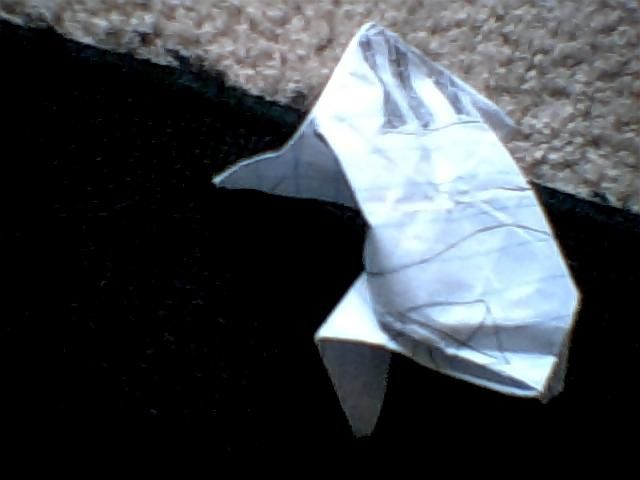 Turtle : 6 Steps - Instructables