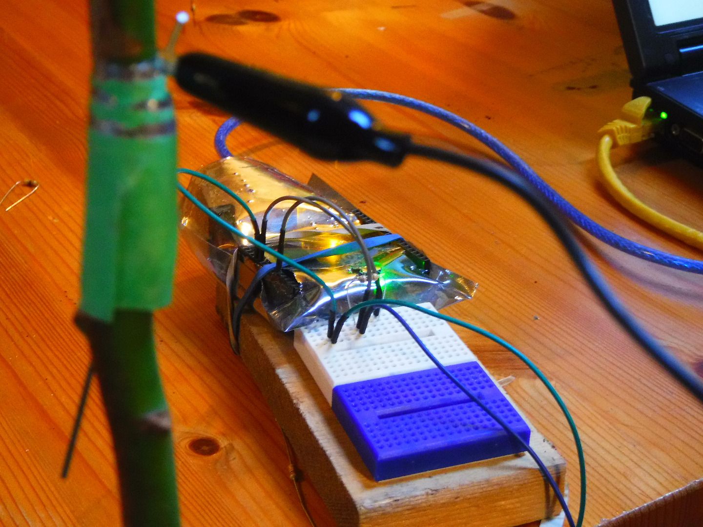 Polygraph for Recording Plant's Feelings : 3 Steps - Instructables