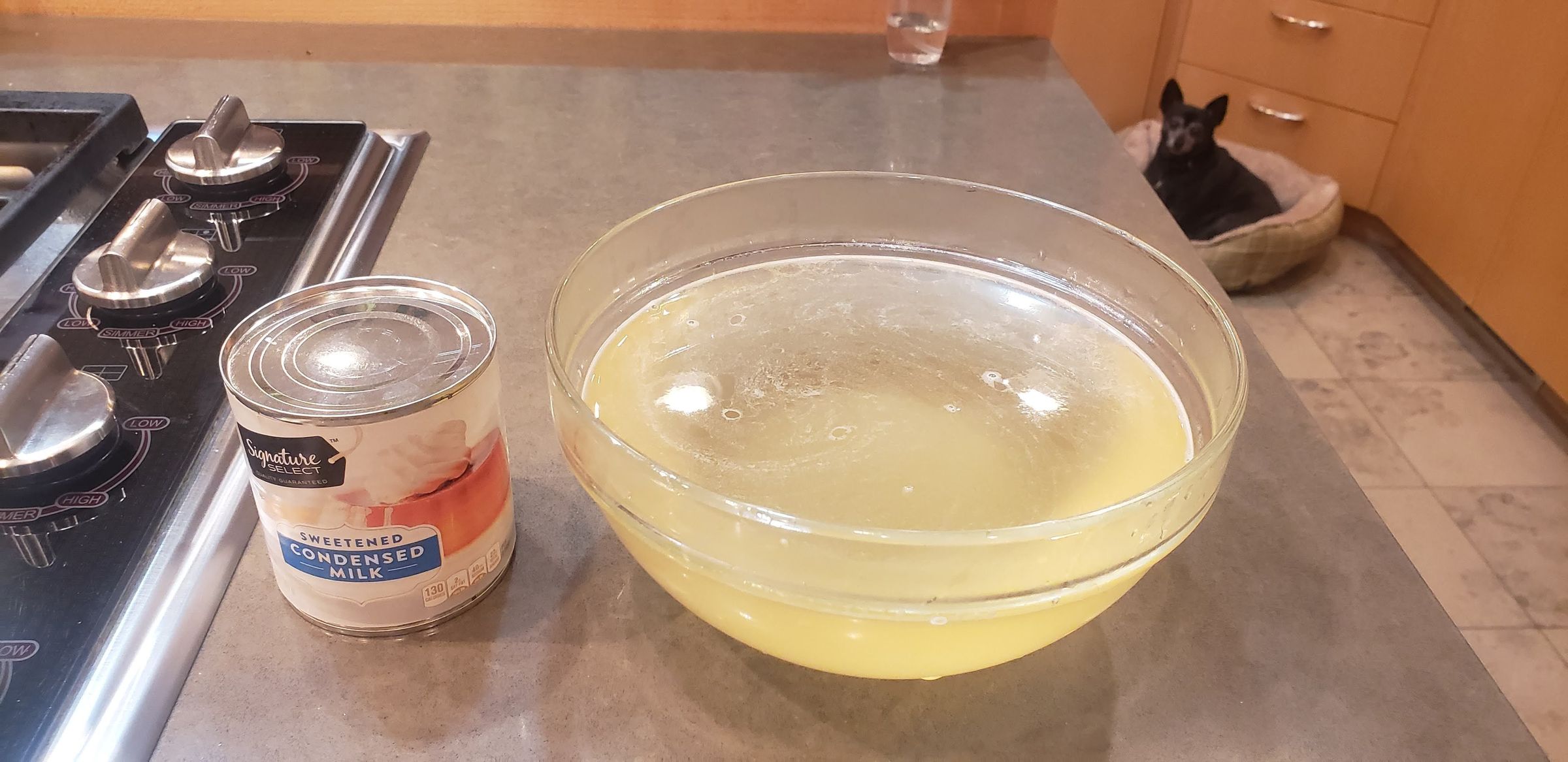 100% Edible Aliens Inspired Chestburster Gelatin Babycake : 14 Steps ...