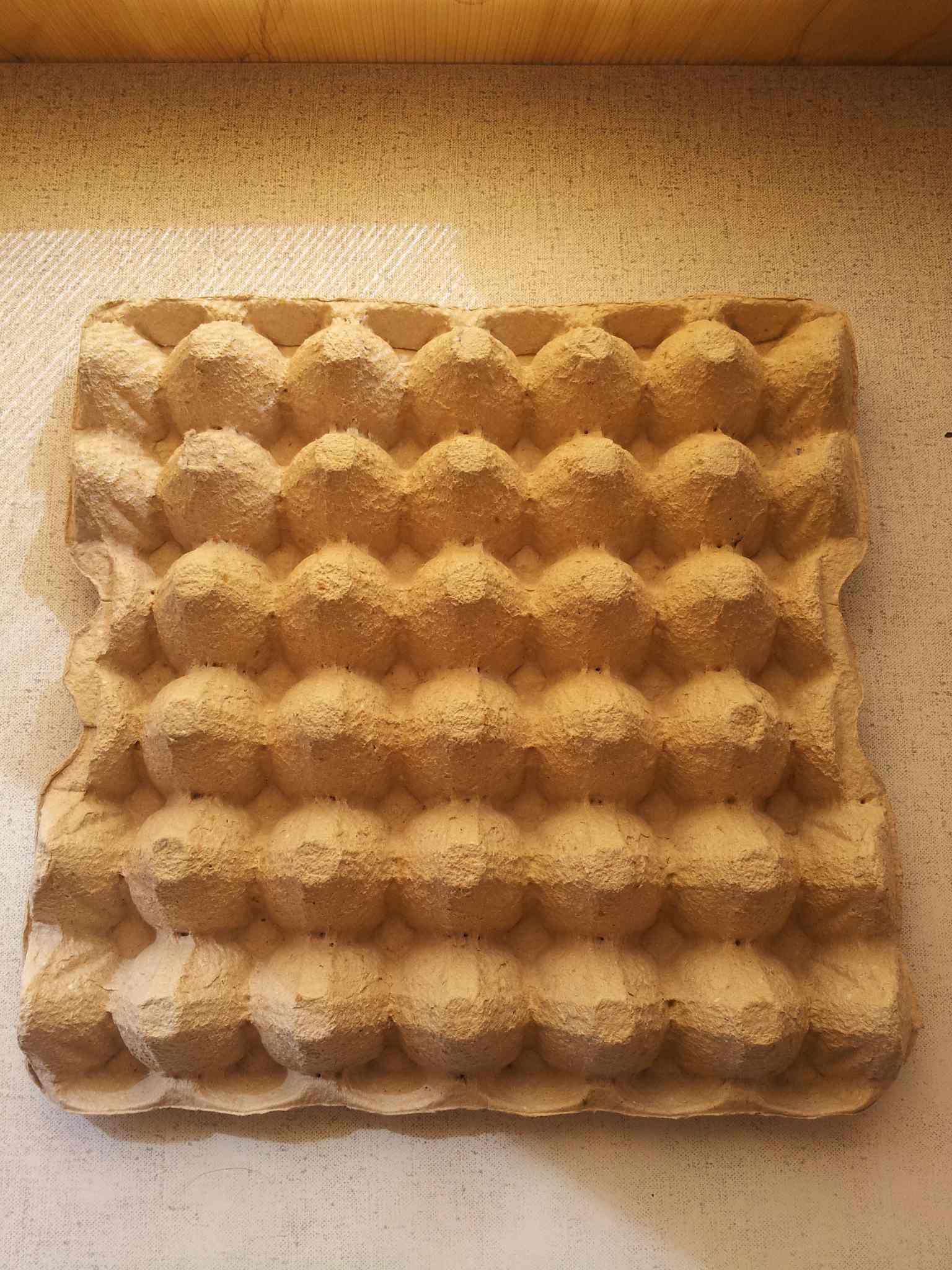 A Hedgehog Made of an Egg Box : 4 Steps (with Pictures) - Instructables