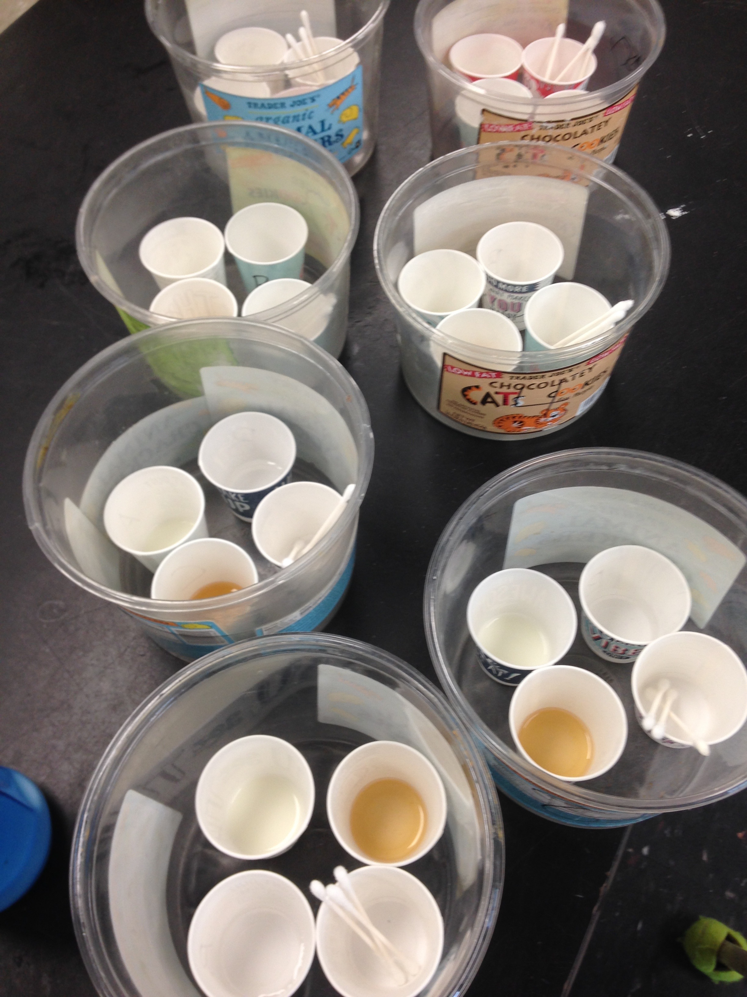 Invisible Ink Lab - True Experimentation for the Start of the School ...