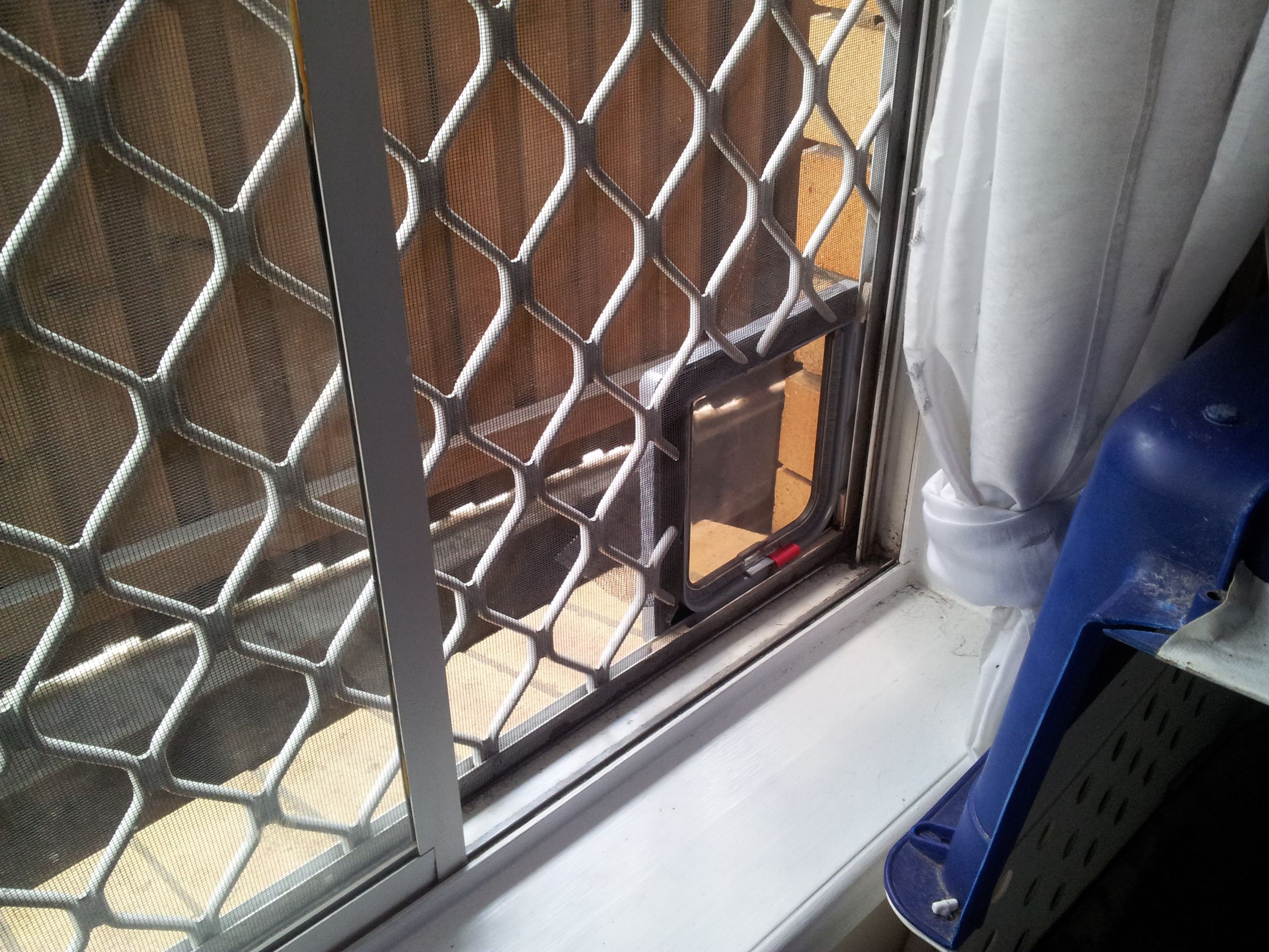 DIY Custom Fit Cat Run : 10 Steps (with Pictures) - Instructables