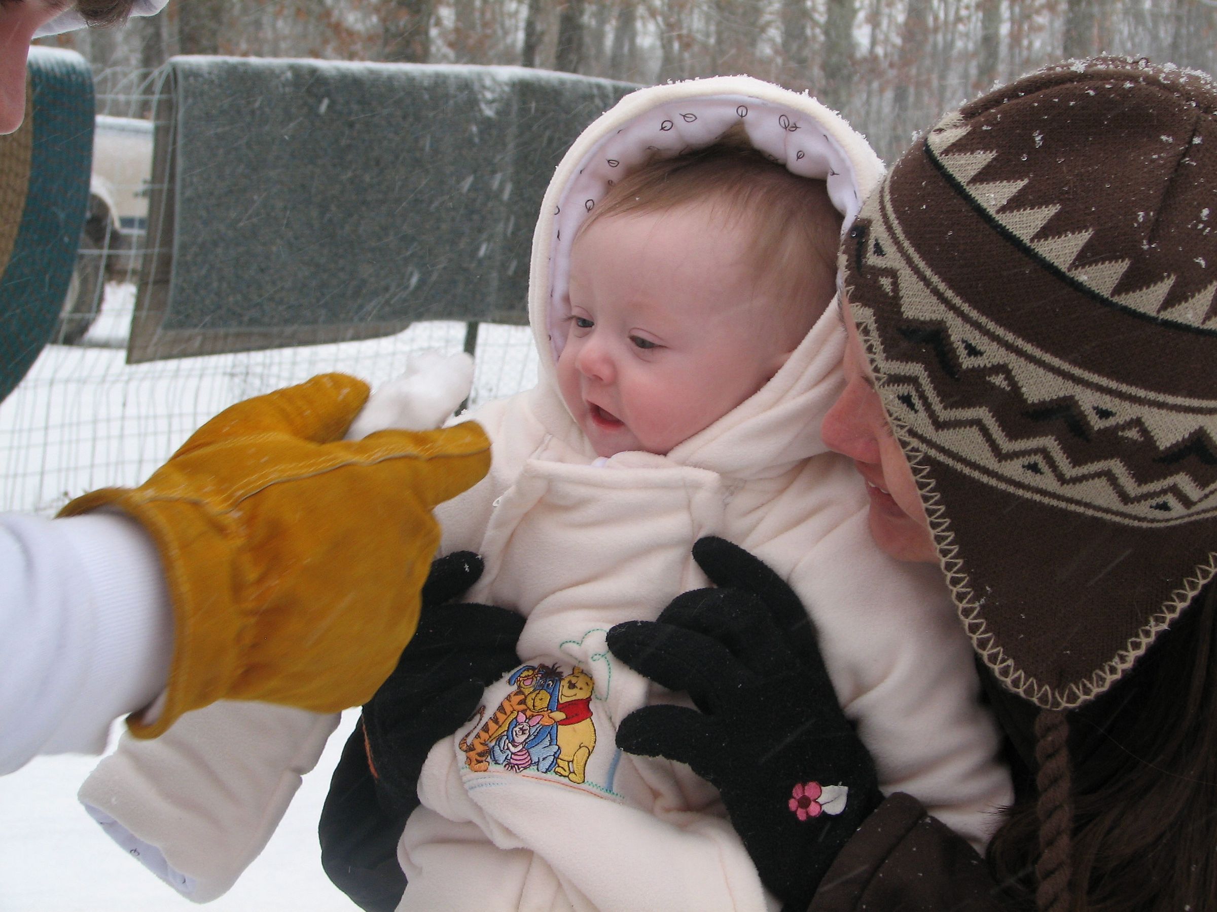How to Get Baby to Eat a Snowball for the First Time : 4 Steps ...