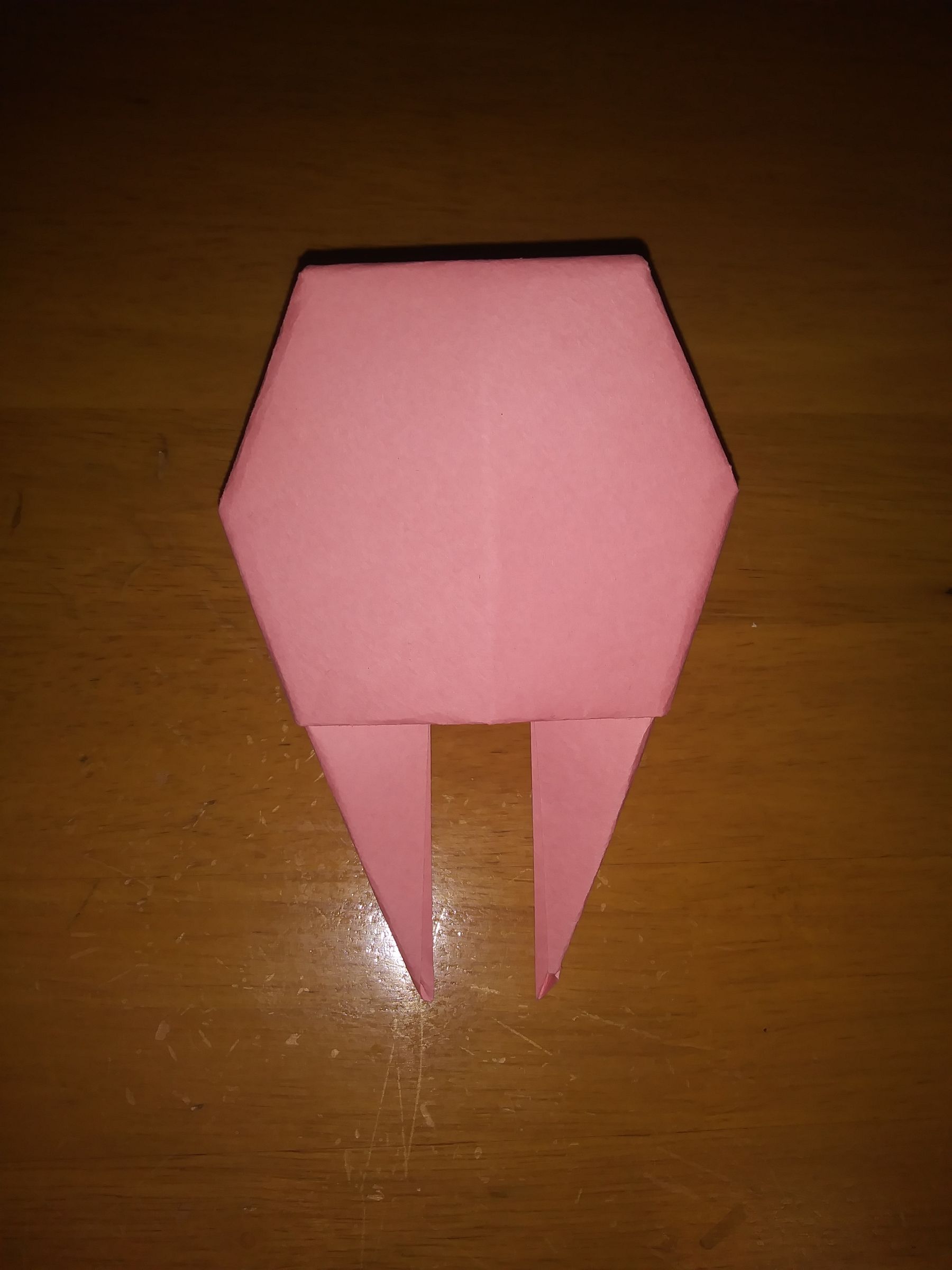 Easy Origami Walrus : 7 Steps - Instructables