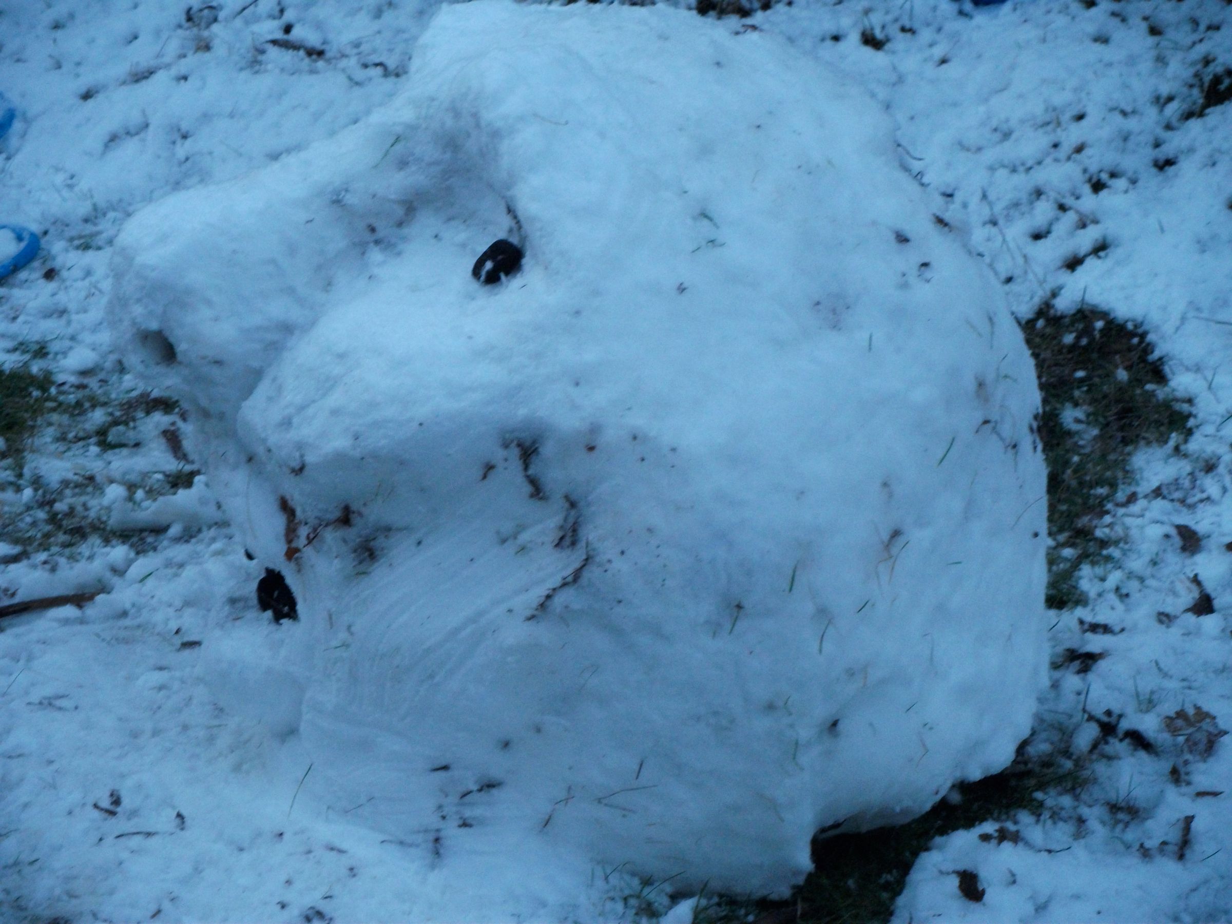 Snowbilly - Instructables