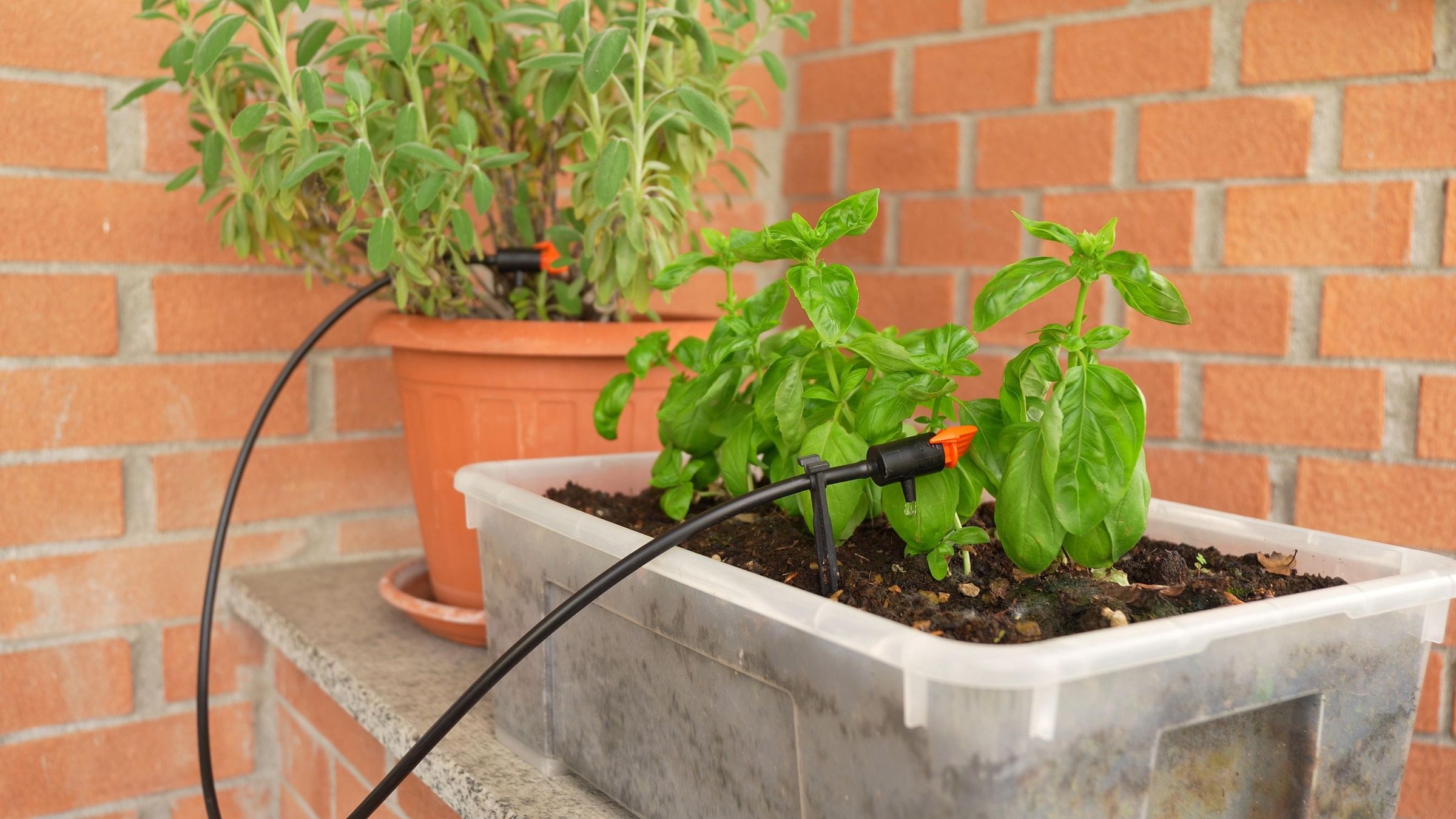 ESP32 Irrigation System With Water Reservoir : 10 Steps (with Pictures ...