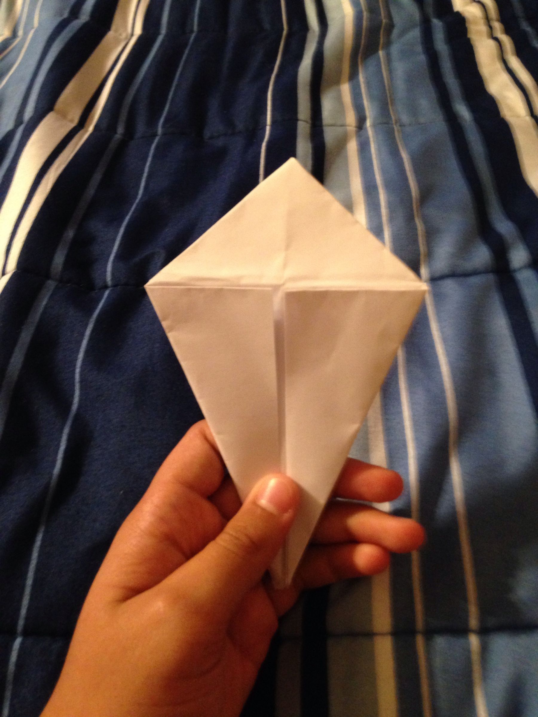 Origami Flapping Crane : 12 Steps - Instructables