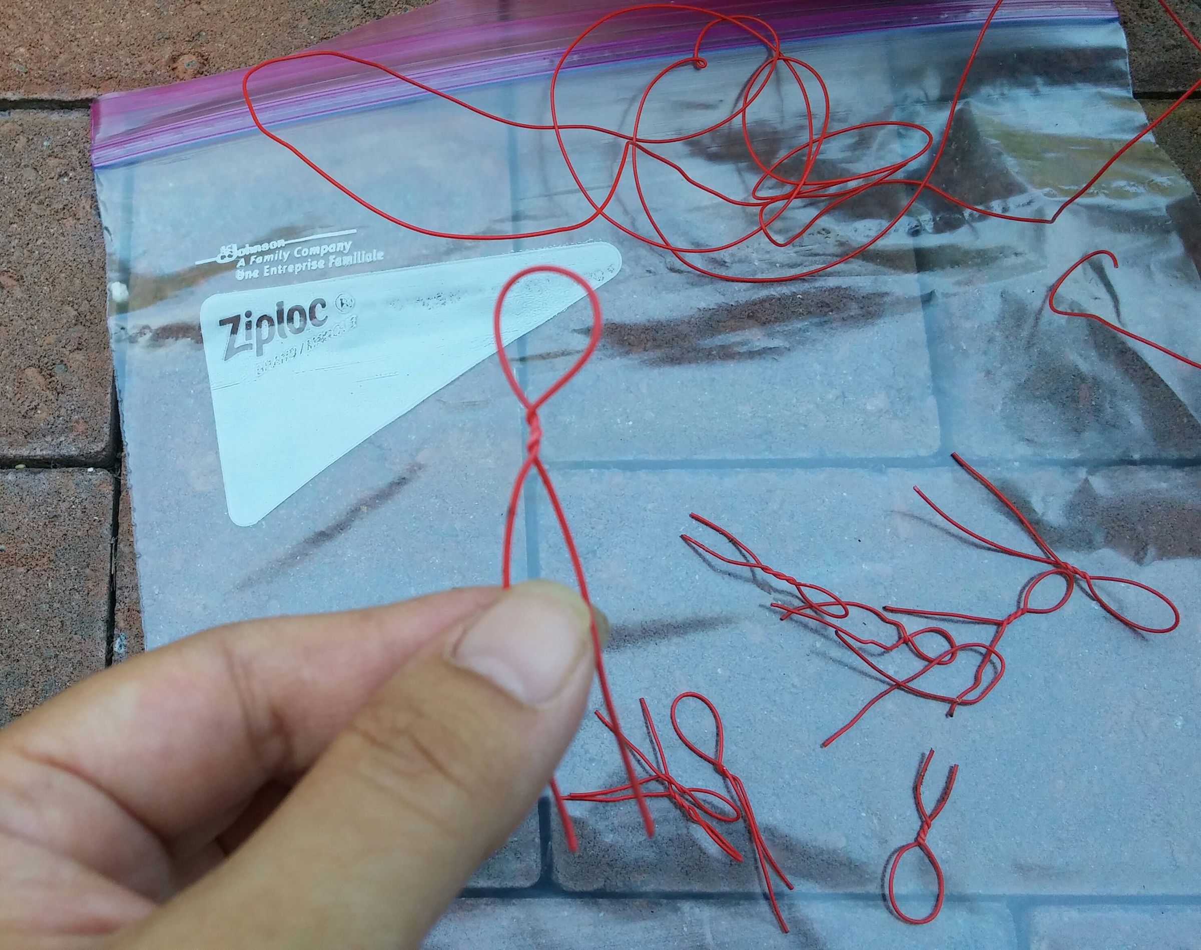 Rooting/Propagating Sprawl-y Plants : 8 Steps (with Pictures ...