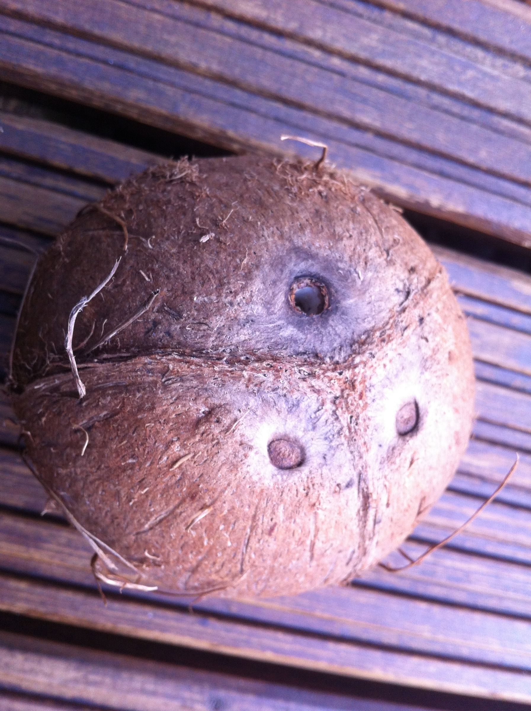 Open and Prepare Coconut : 4 Steps - Instructables