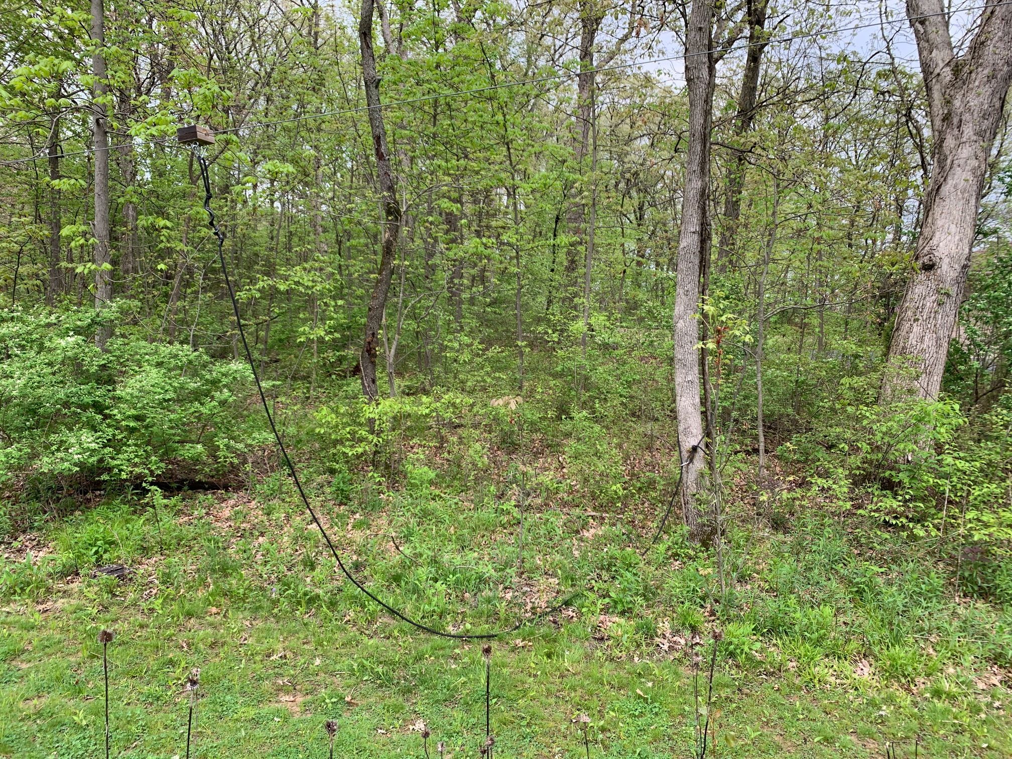 Extreme Backyard Zipline : 6 Steps (with Pictures) - Instructables