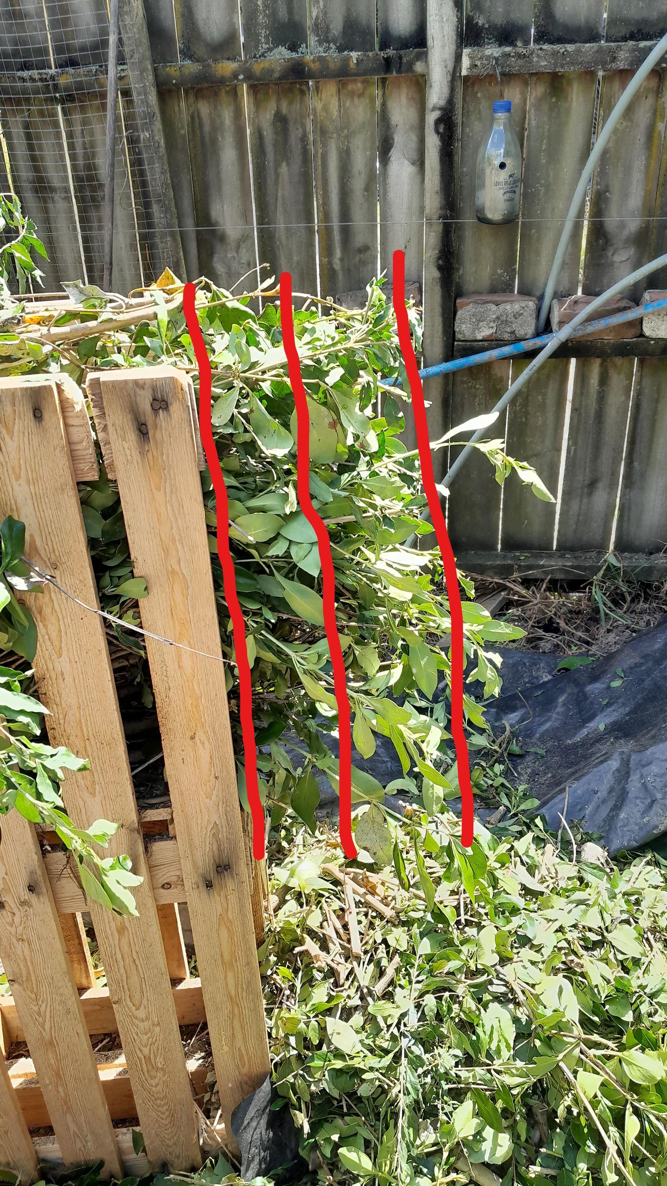 DIY Pallet and Chainsaw Mulching Rack - for Easy Vegetation Shredding ...