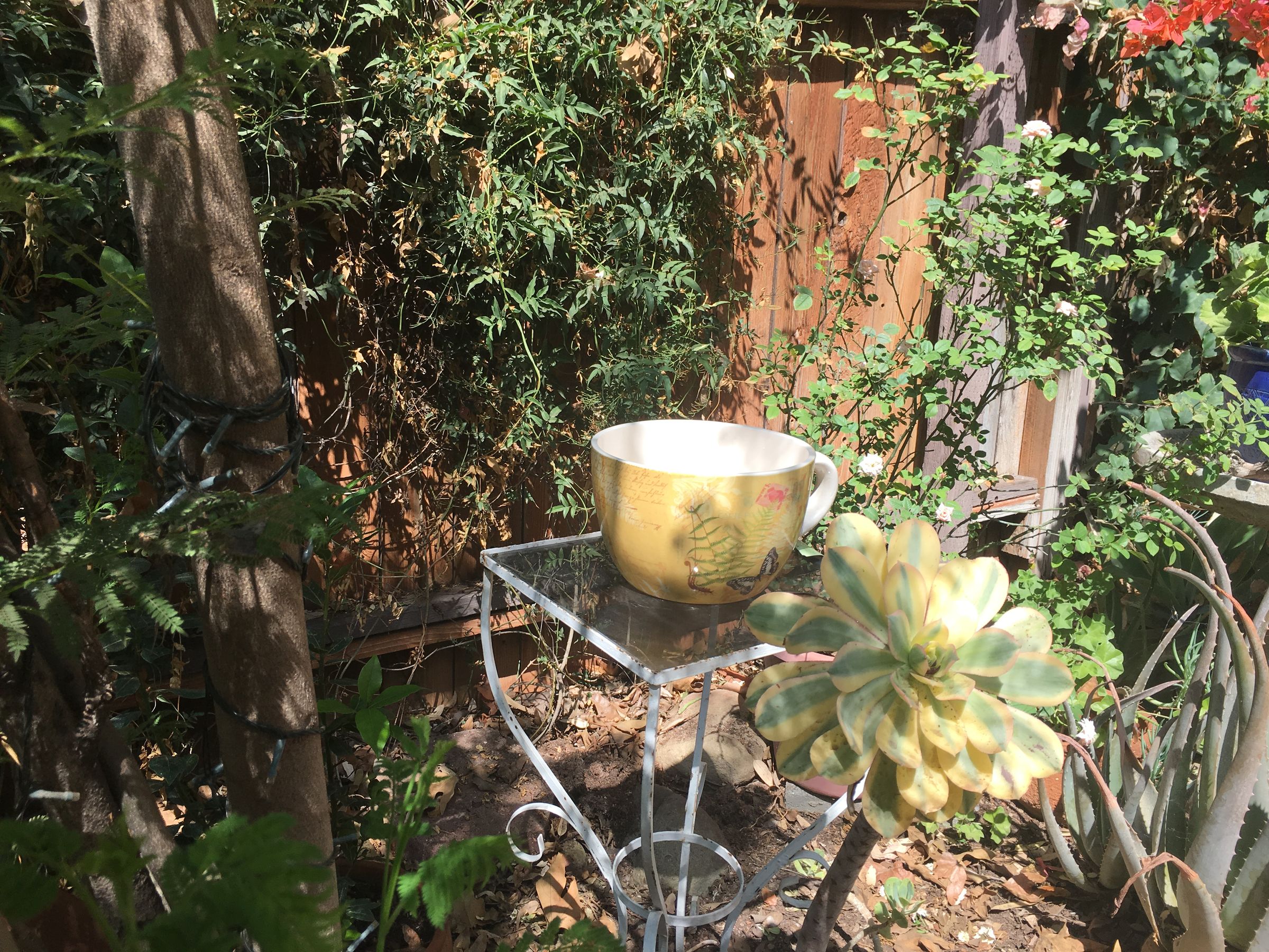 English Breakfast Tea Floating Fountain : 8 Steps (with Pictures ...