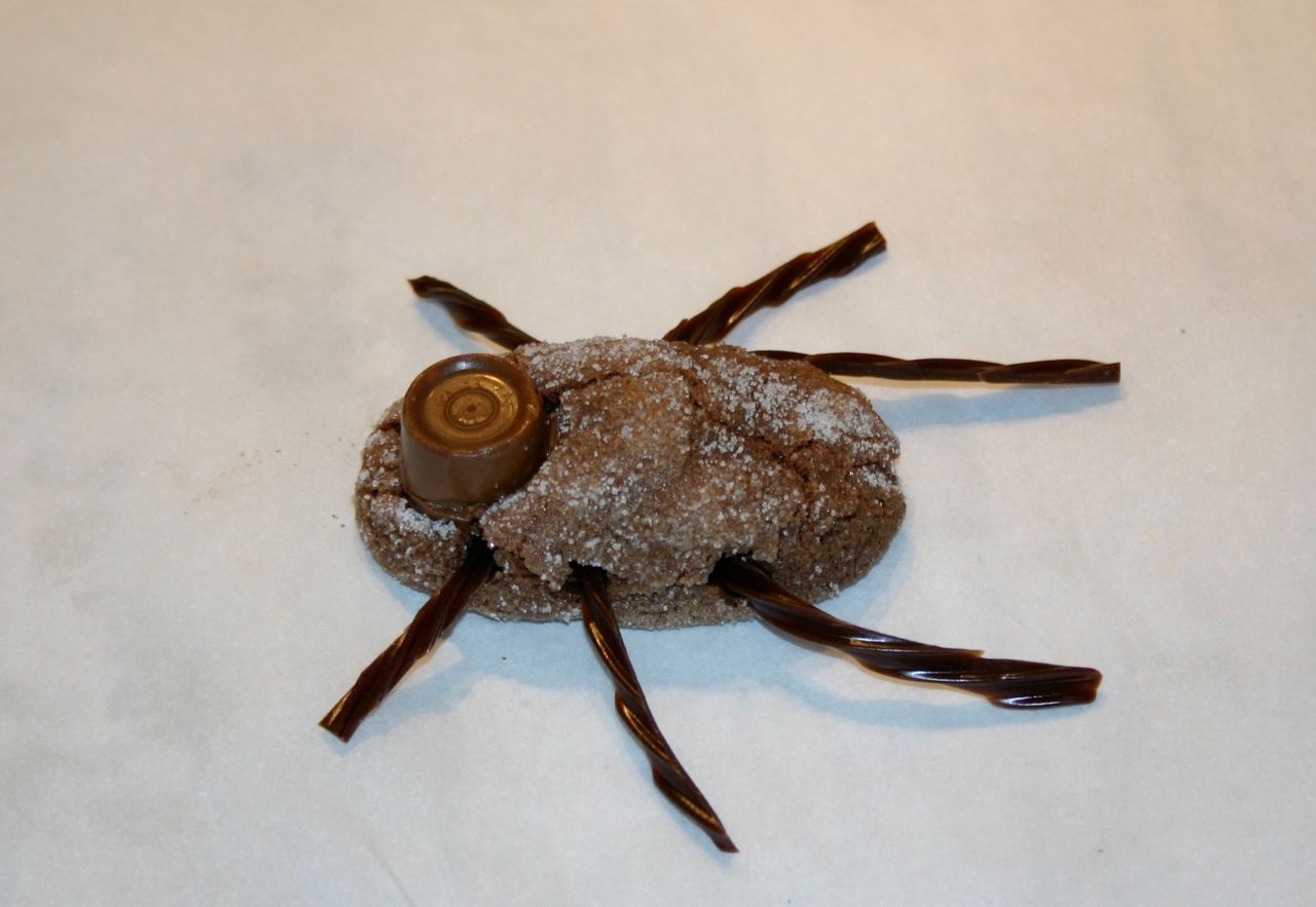 Chocolate Caramel Cockroach Cookie : 12 Steps (with Pictures) - Instructables