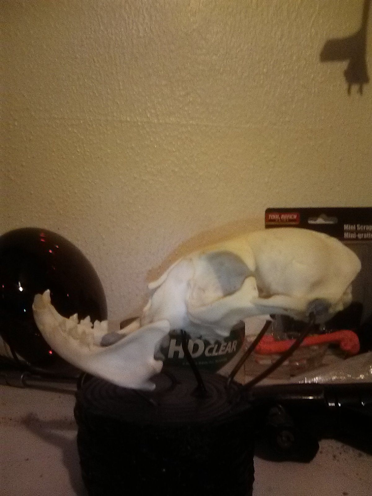 DIY Skull Mount With Reclaimed Materials : 6 Steps (with Pictures ...