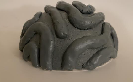Brain Folds Museum Concept : 5 Steps - Instructables