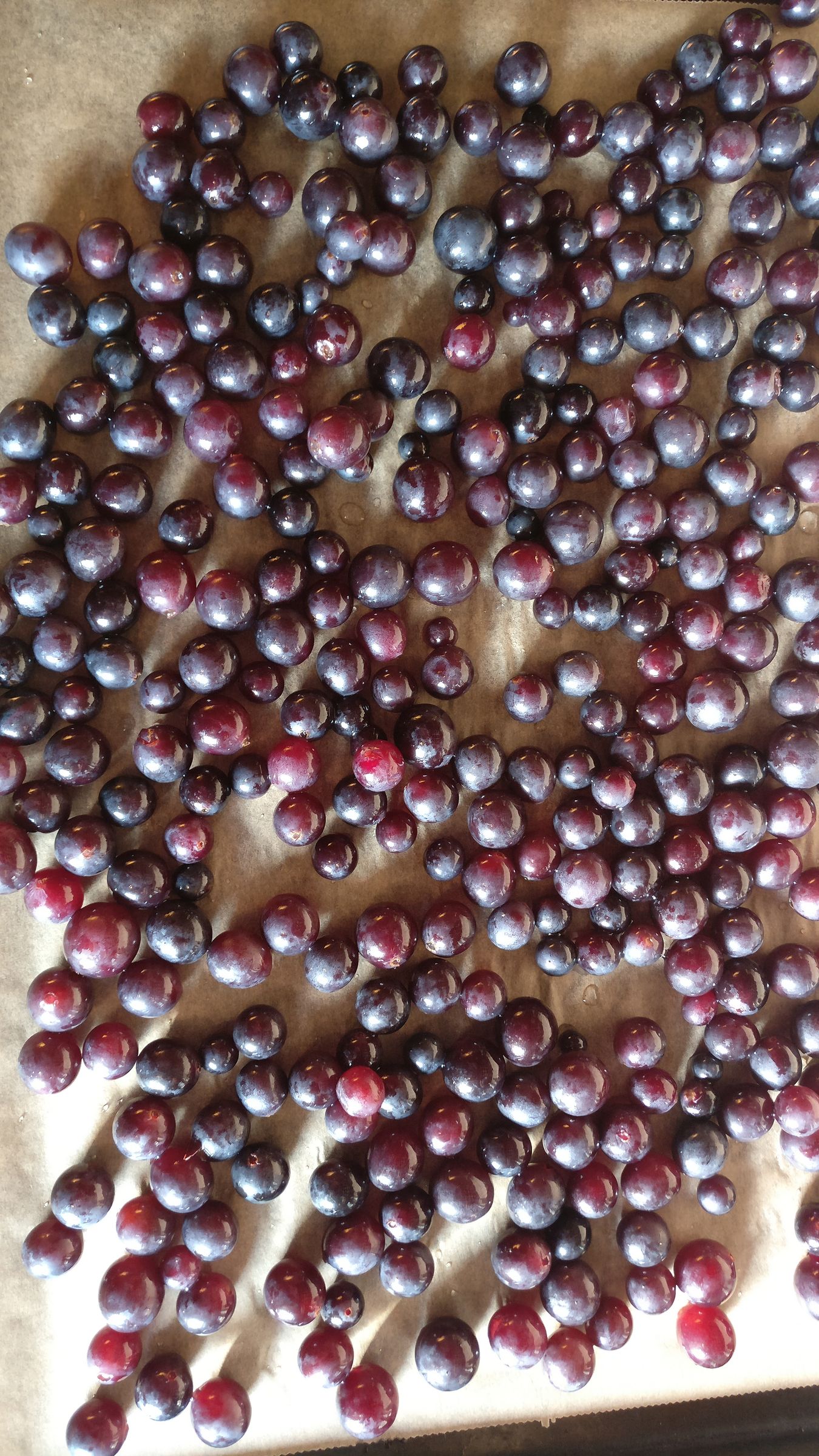 Make Raisins in the Oven : 3 Steps (with Pictures) - Instructables