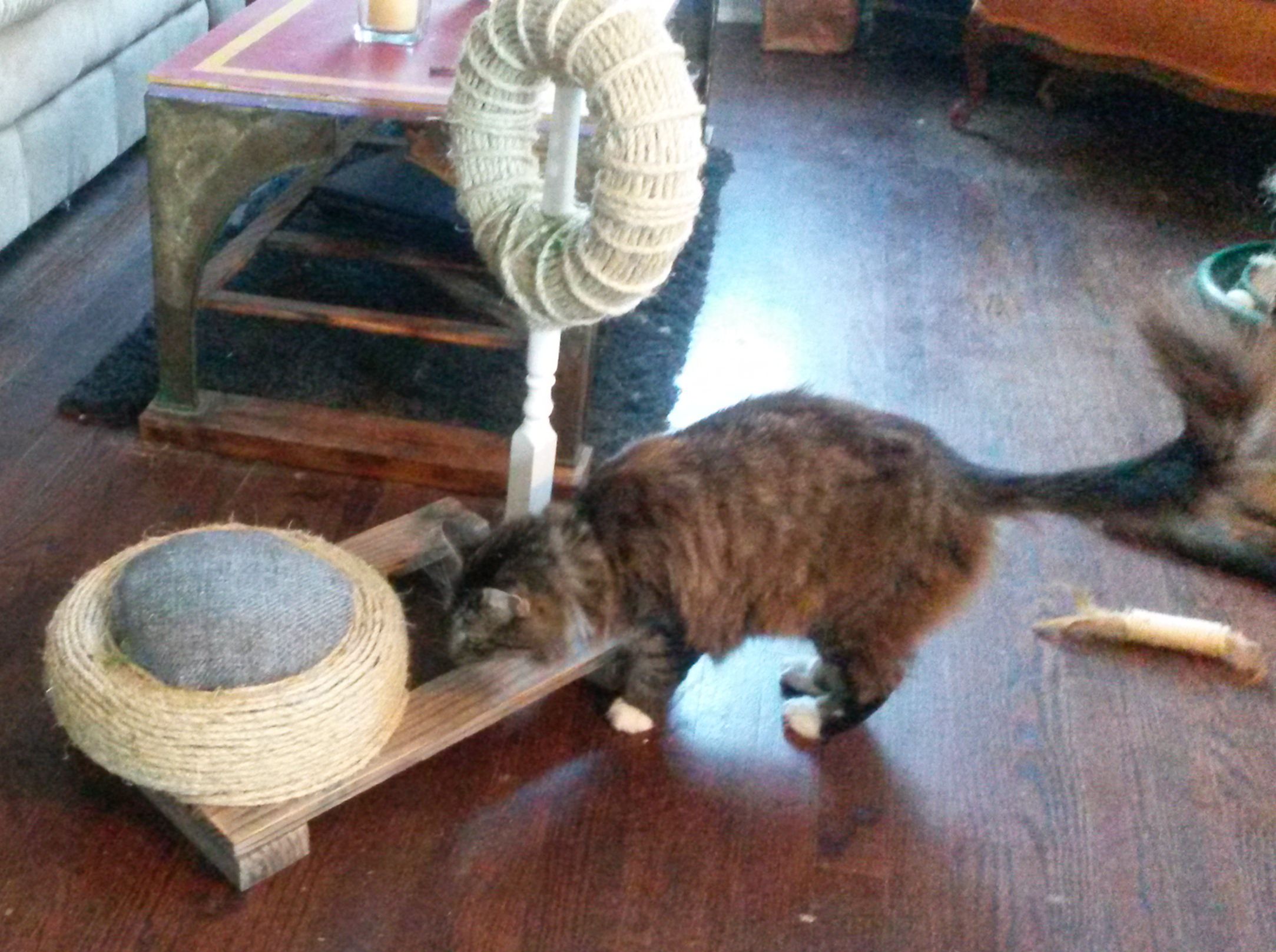 Cat Scratch Post : 9 Steps (with Pictures) - Instructables