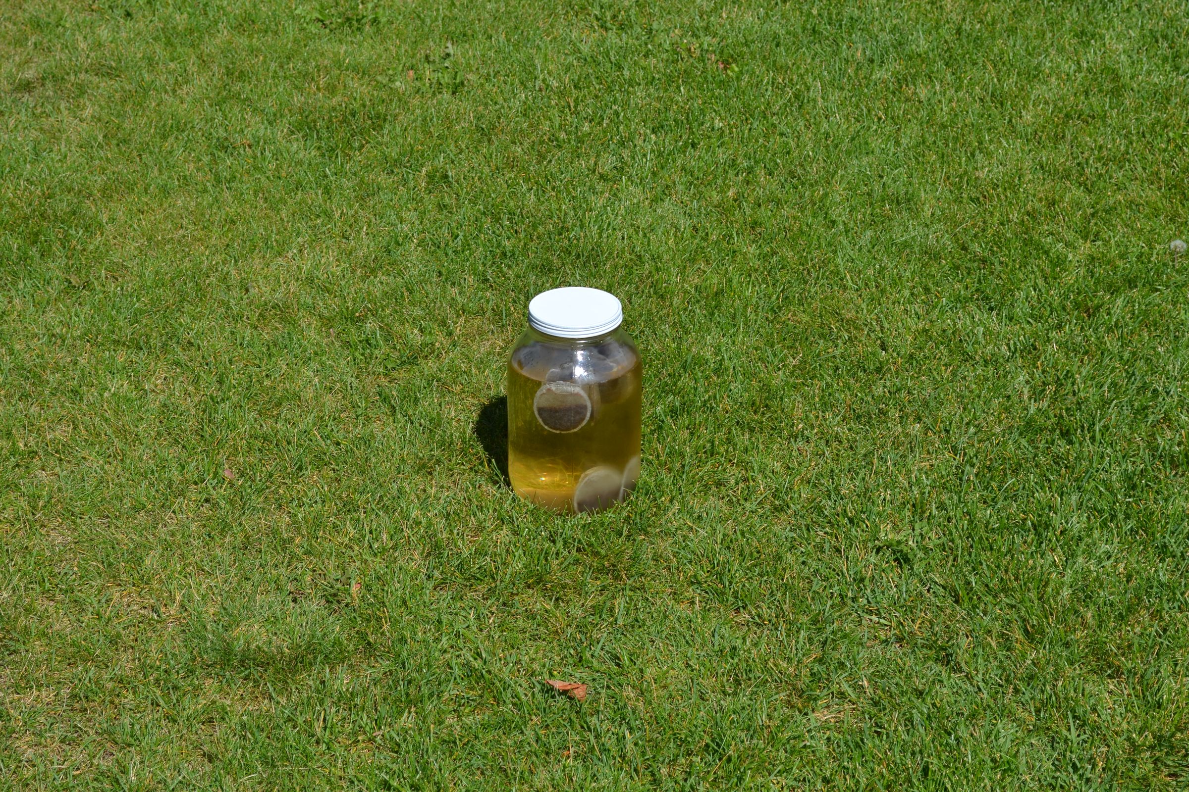 Homemade Sun Tea : 4 Steps (with Pictures) - Instructables